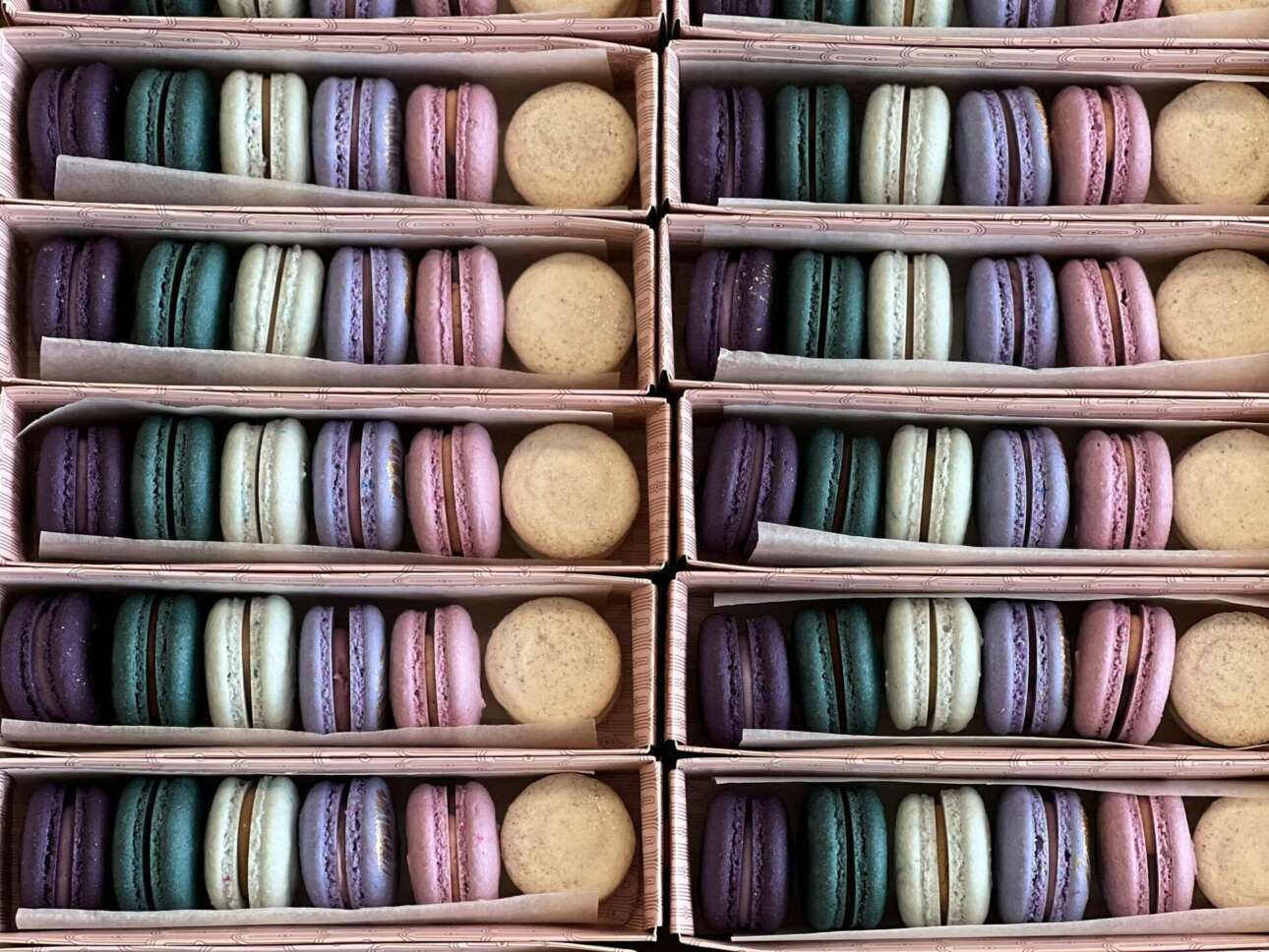 Meet Danielle Key – CanvasRebel Magazine