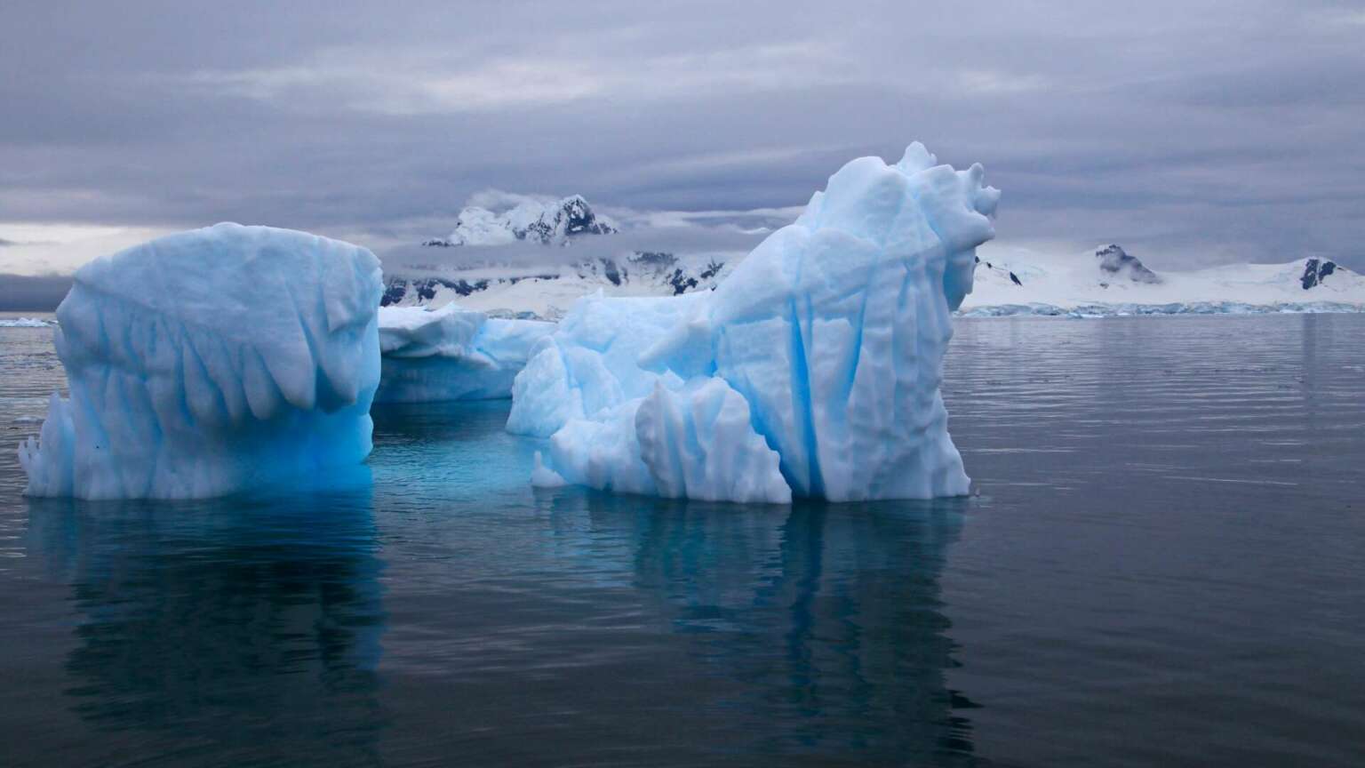 Meet Edward Muñoz – CanvasRebel Magazine