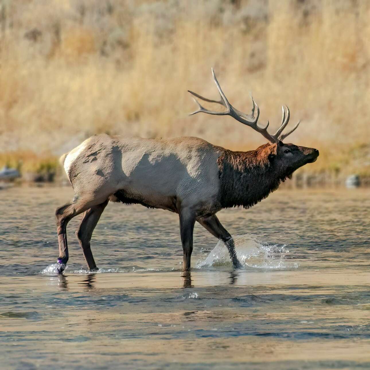 Meet Edward Muñoz – CanvasRebel Magazine