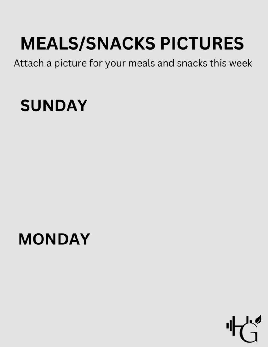 Meet Galit Stein – CanvasRebel Magazine