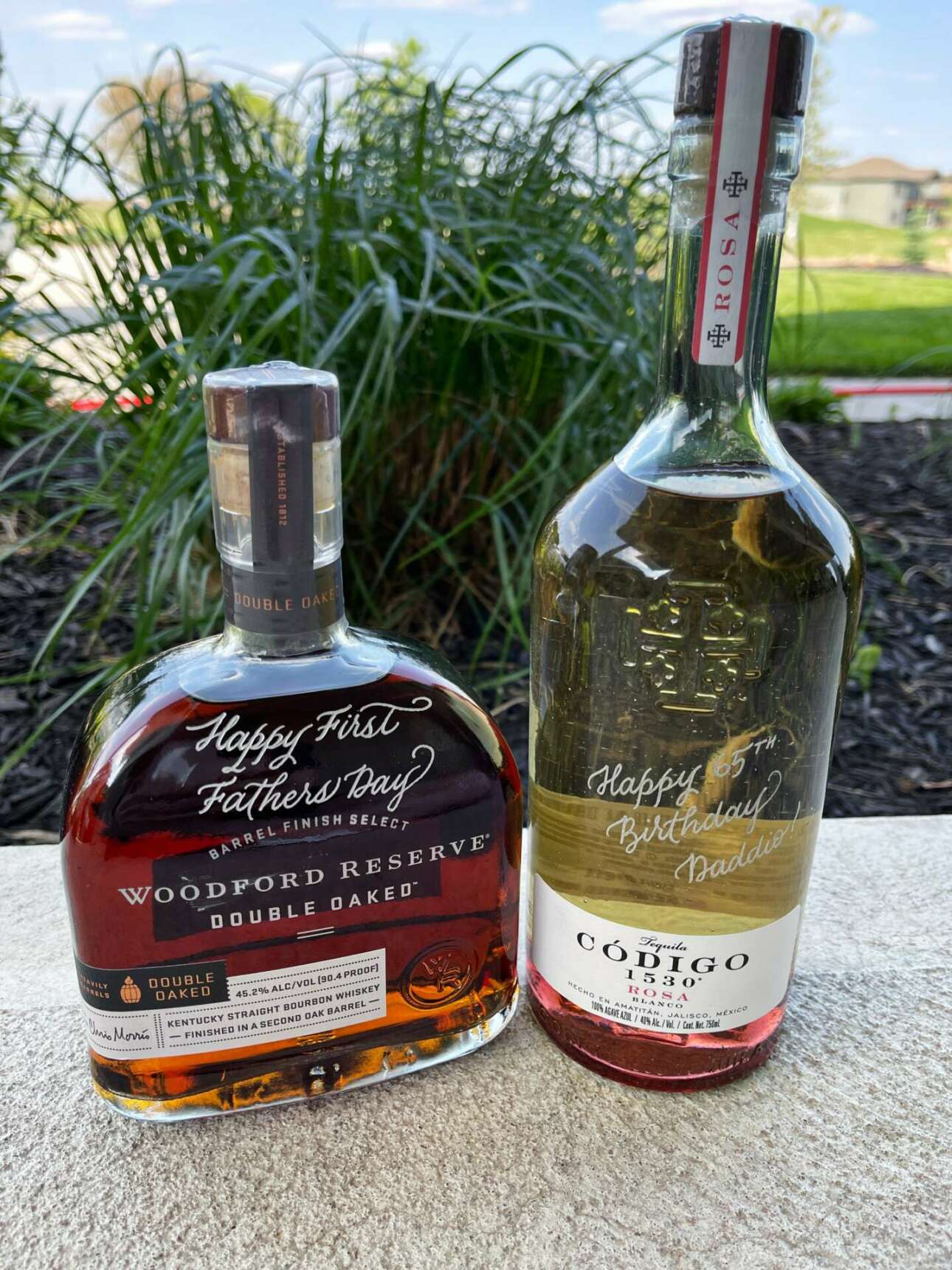 Meet Gayle Lynn - CanvasRebel Magazine