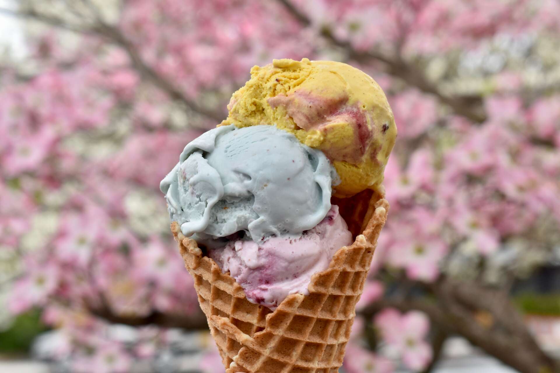 Meet Greg Garrison – CanvasRebel Magazine