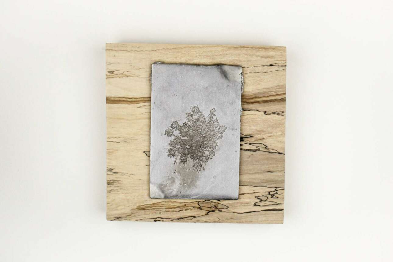 Meet Hannah Bates – CanvasRebel Magazine