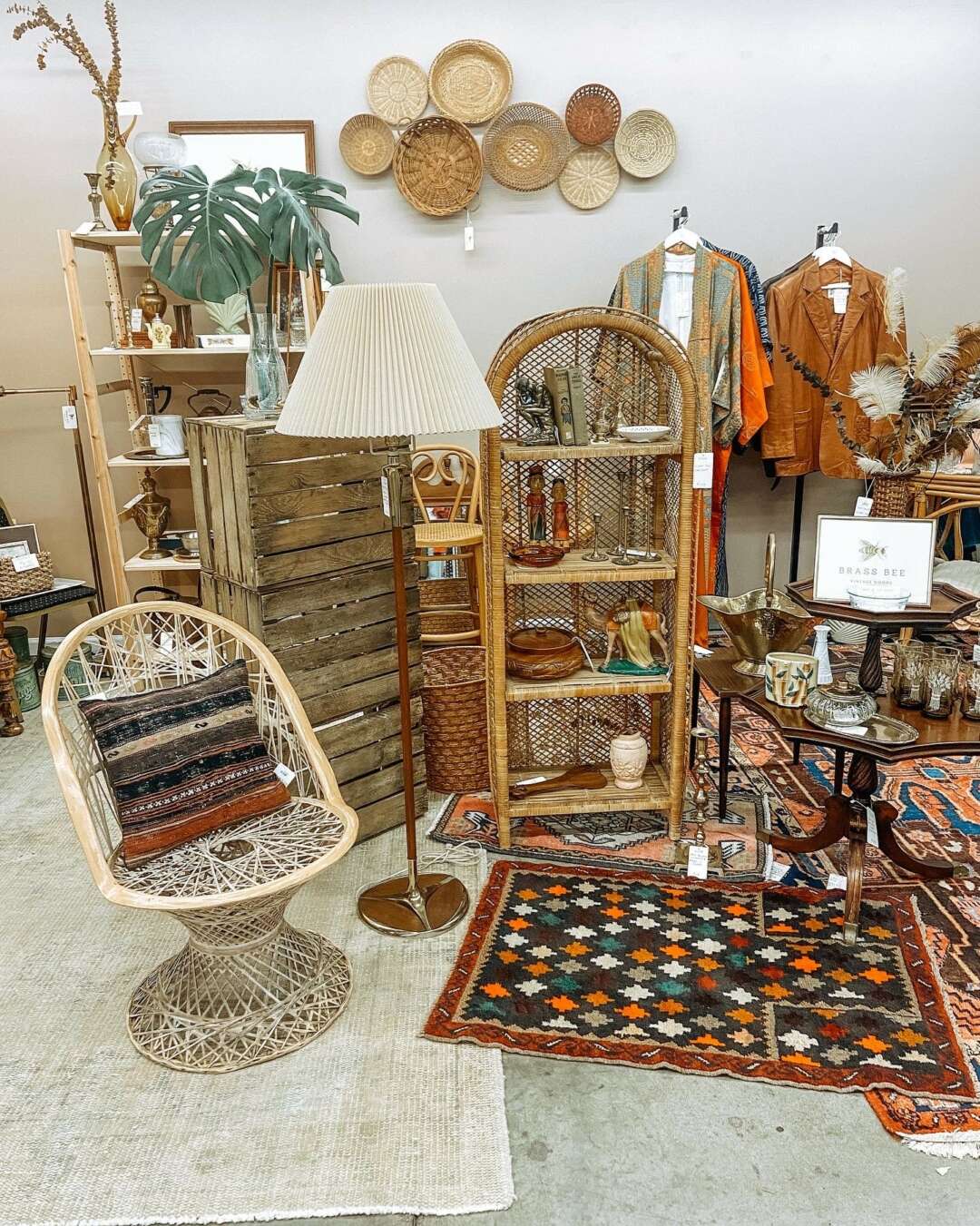 Meet Katie Sharp – CanvasRebel Magazine