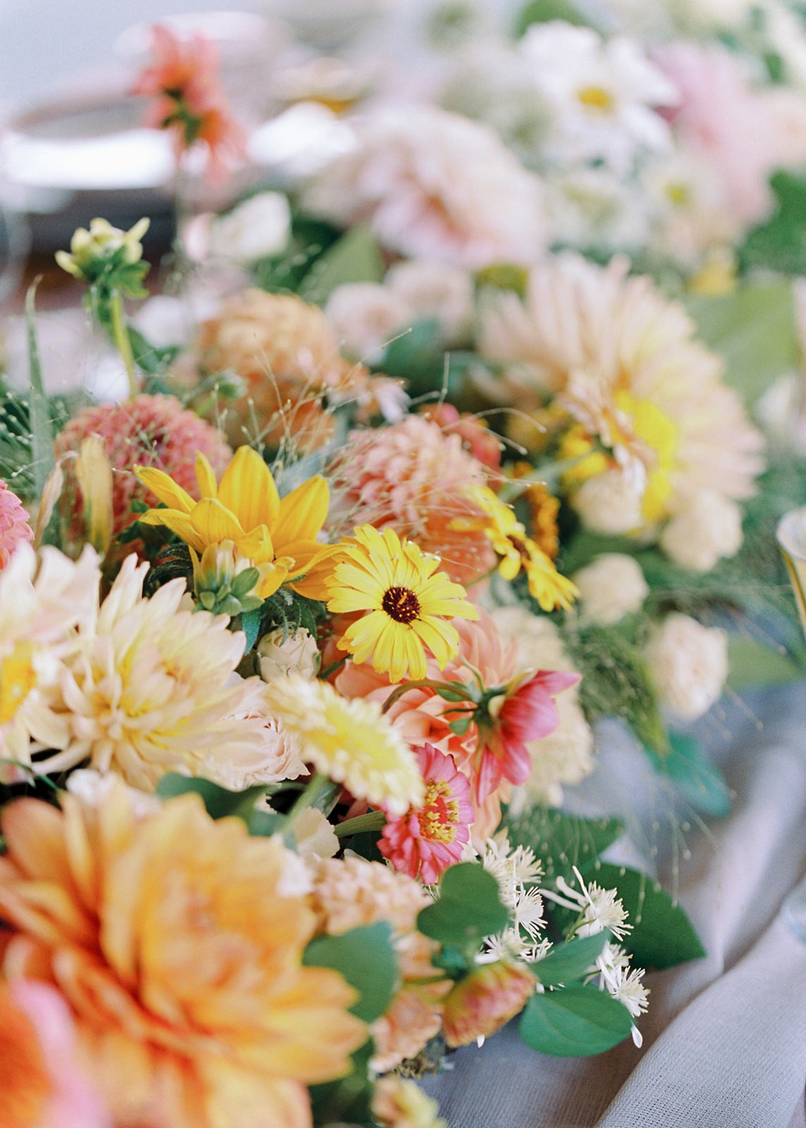 Meet Mandy Hess – CanvasRebel Magazine