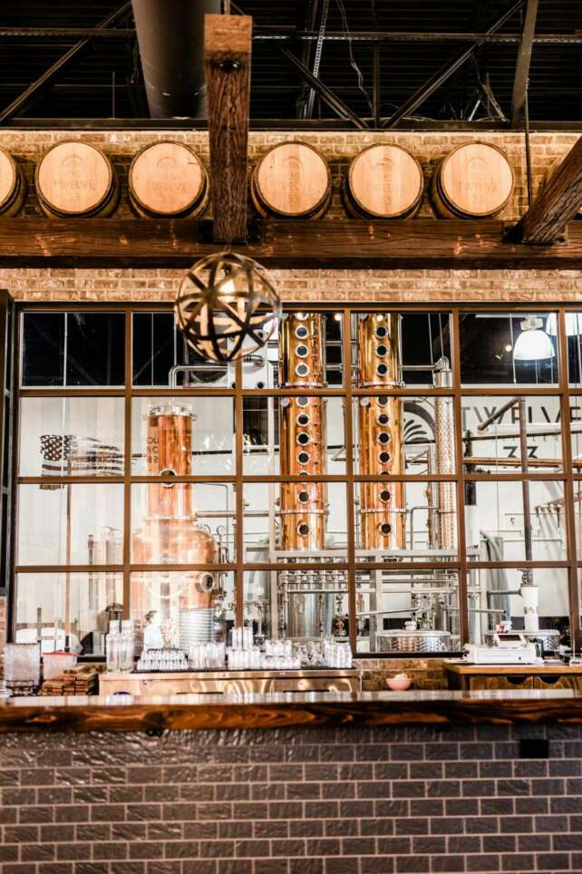 Meet Alexandra Osborn - CanvasRebel Magazine