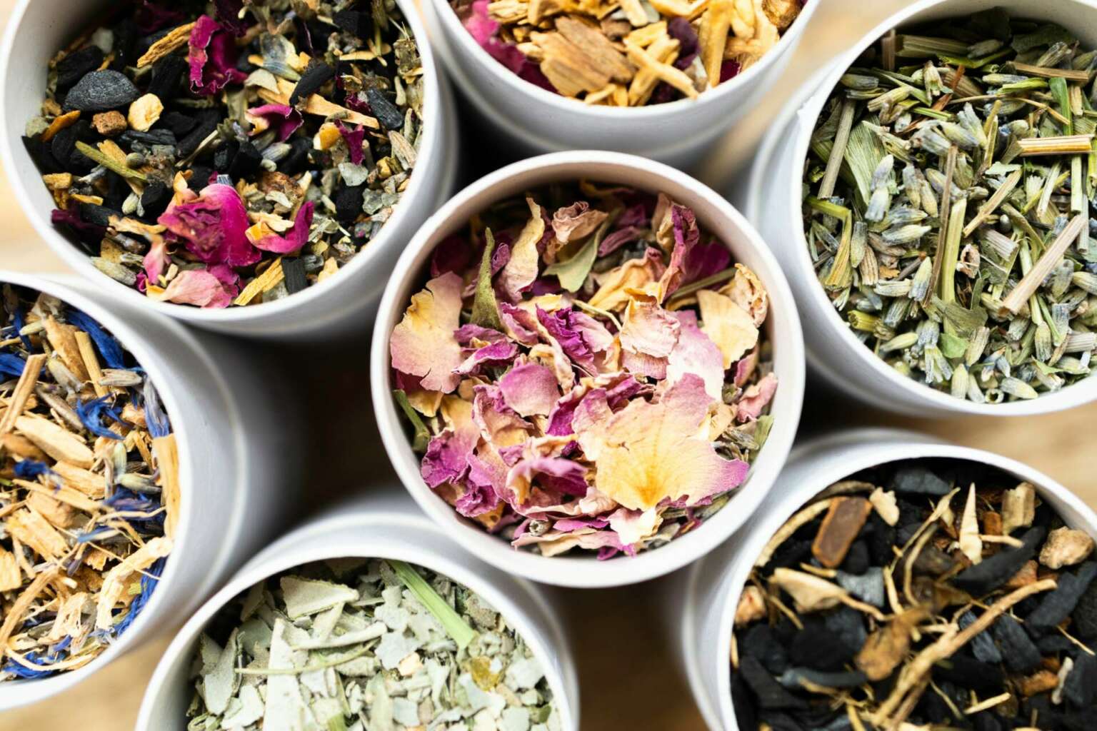 Meet Rachelle Jacob-Wendler – CanvasRebel Magazine