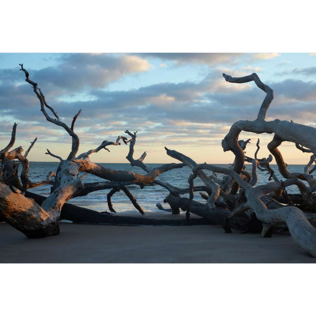 Meet Robert Malmberg – CanvasRebel Magazine