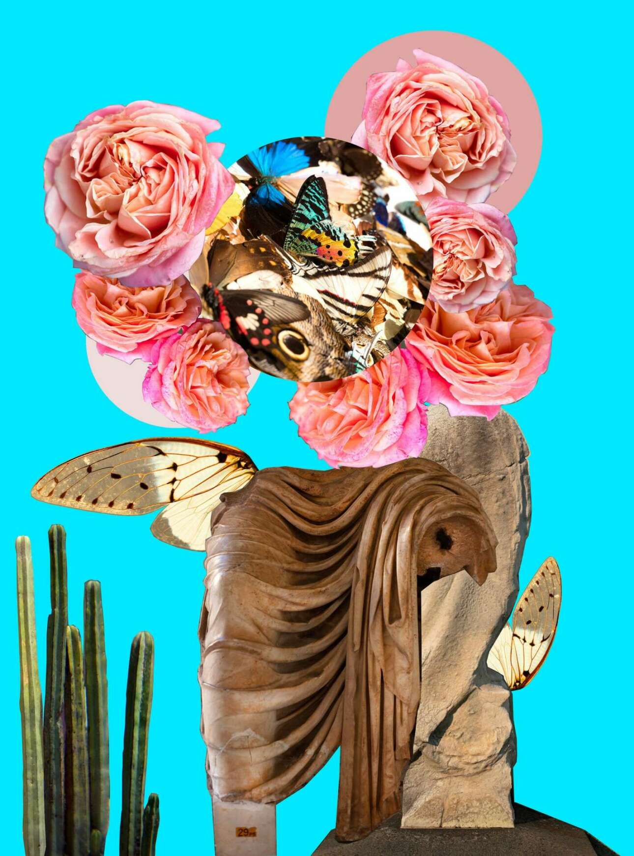 Meet Robert Malmberg - CanvasRebel Magazine