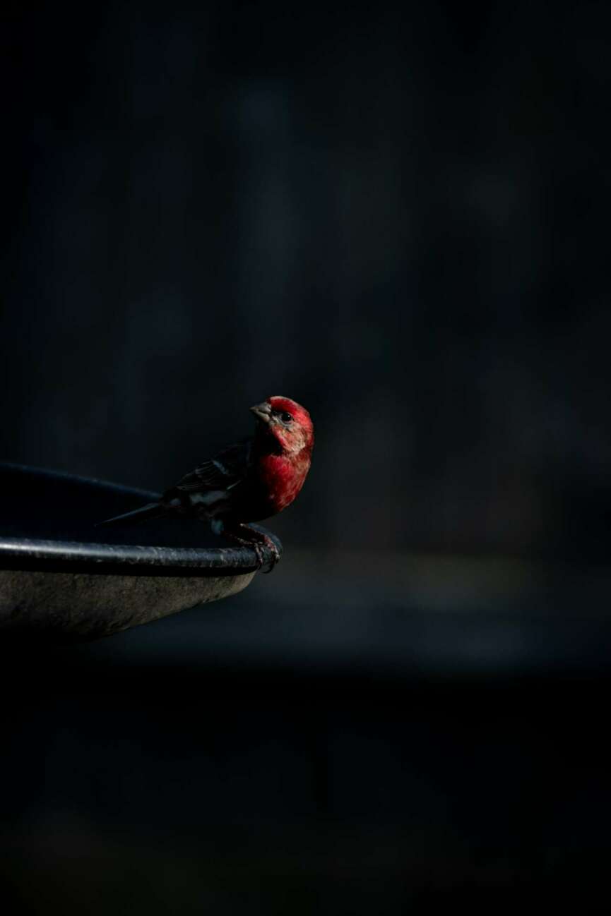 Meet Sarah Helms - CanvasRebel Magazine