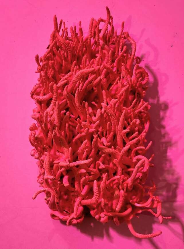 Meet Val Ray King – CanvasRebel Magazine