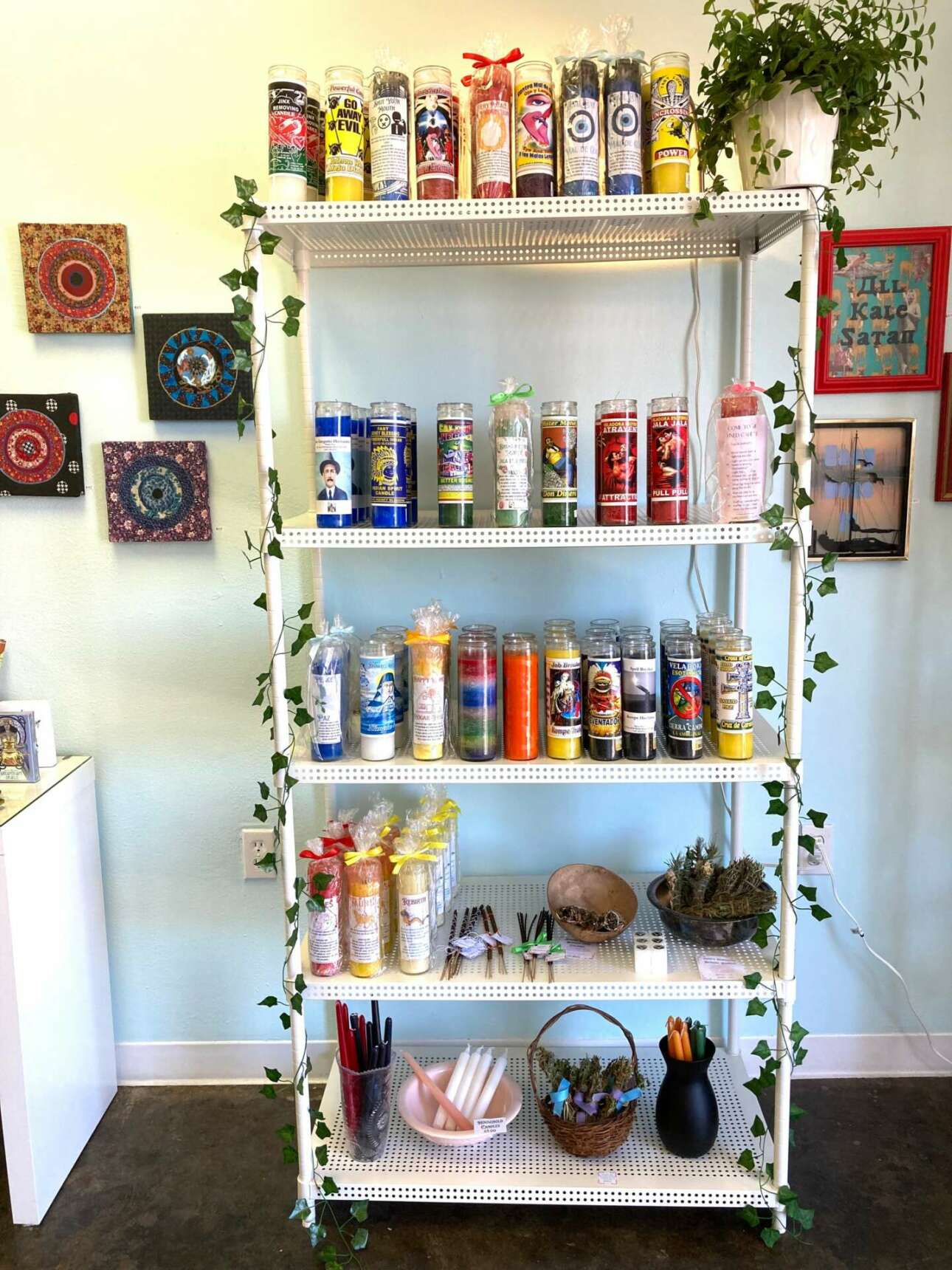 Meet Amanda Holstien – CanvasRebel Magazine
