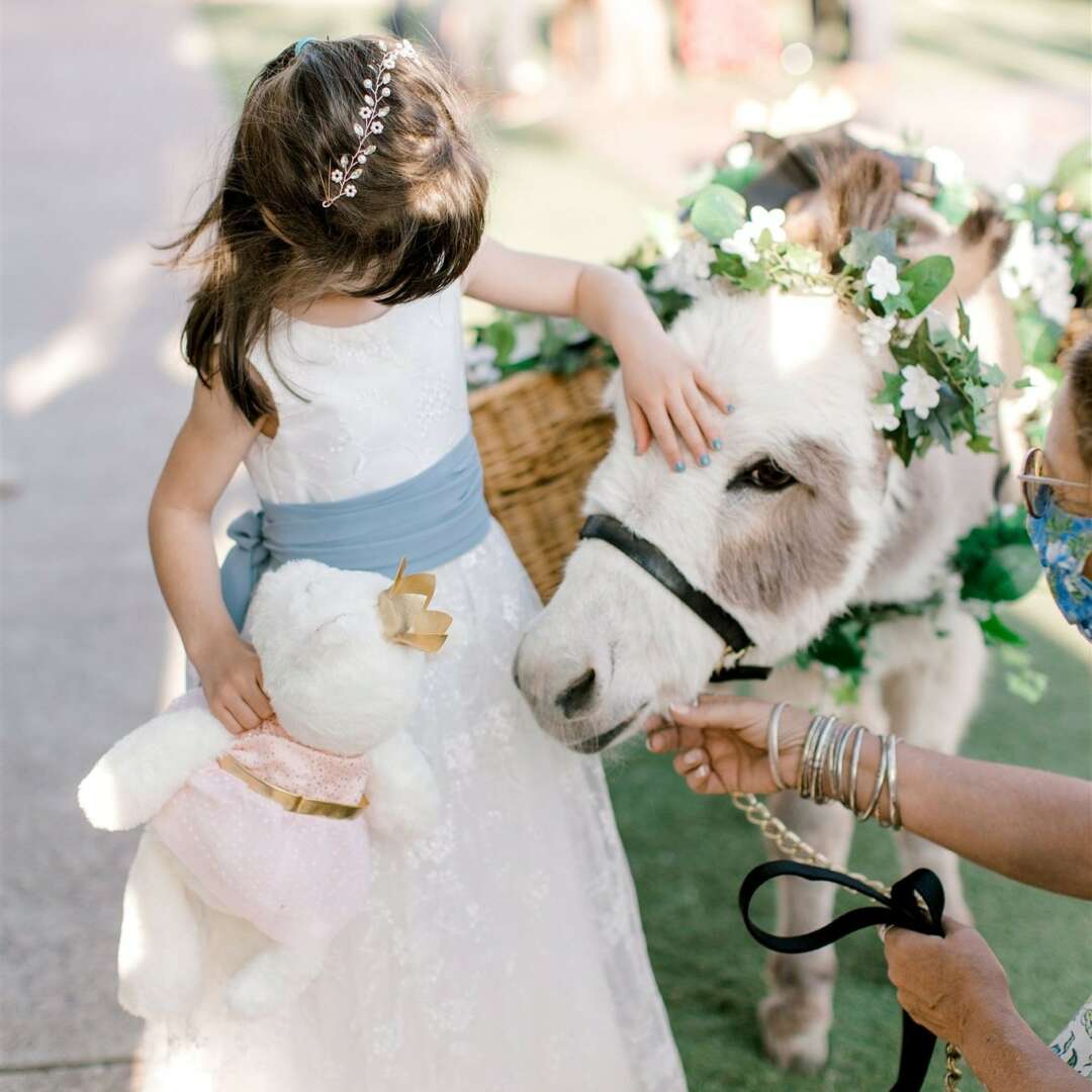 Meet Bruce Dunbar – CanvasRebel Magazine