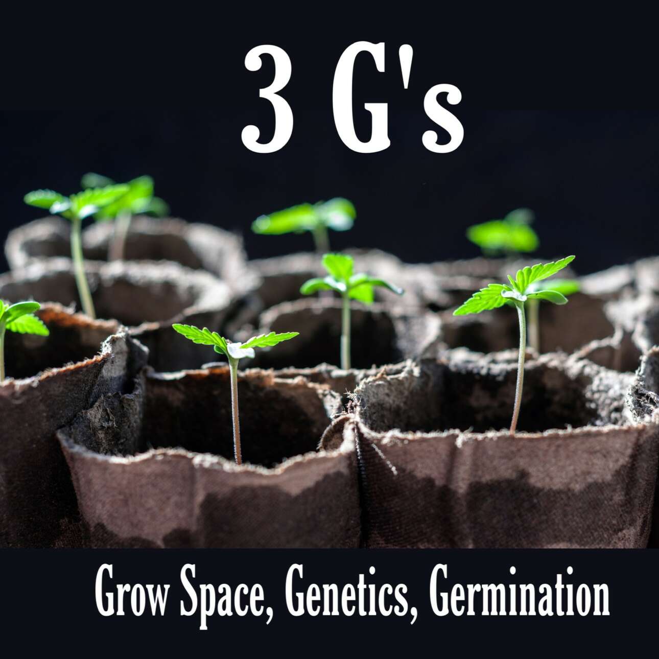 Meet Daniel Glover - CanvasRebel Magazine