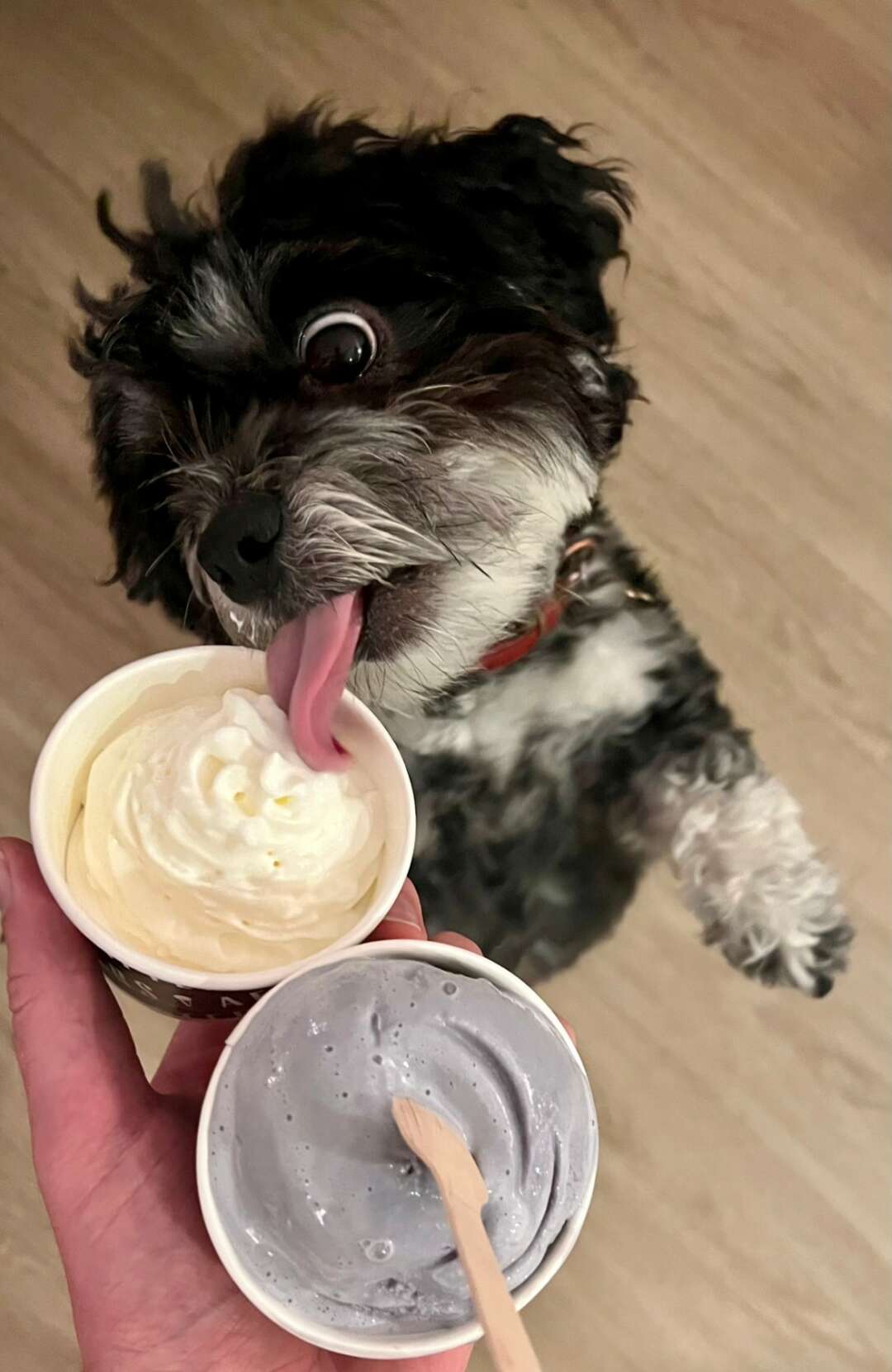 Meet Emilie & Joshua Mentrup – CanvasRebel Magazine