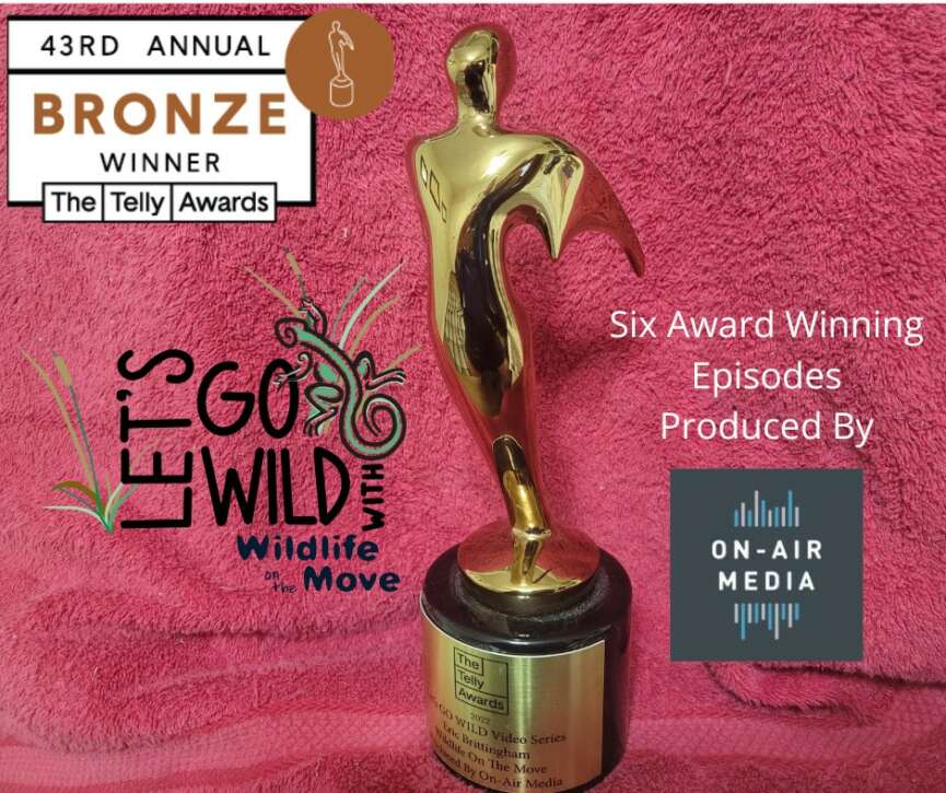 Meet Eric Brittingham – CanvasRebel Magazine