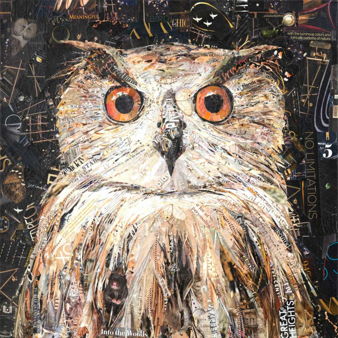 Meet Gina Torkos – CanvasRebel Magazine