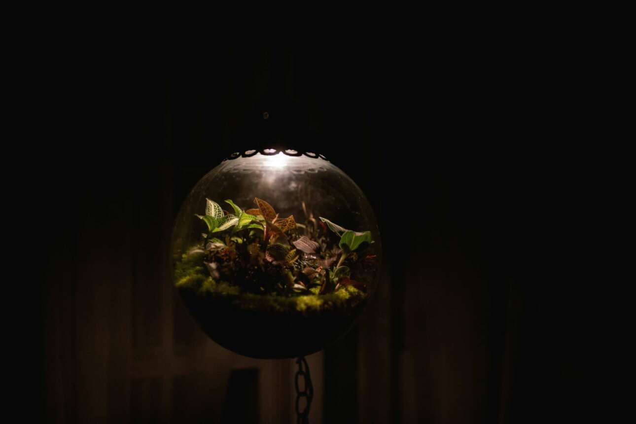 Meet Izzy Hall – CanvasRebel Magazine