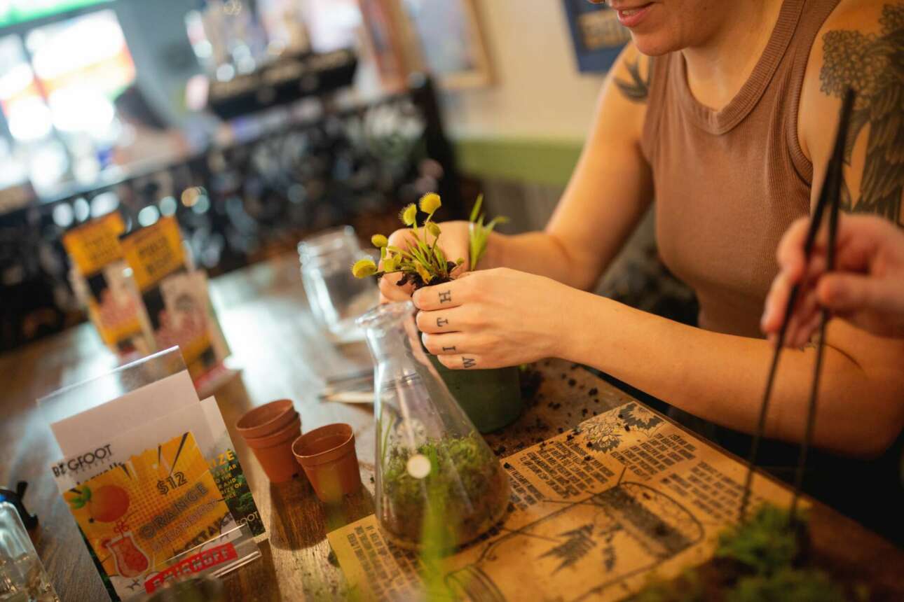 Meet Izzy Hall – CanvasRebel Magazine