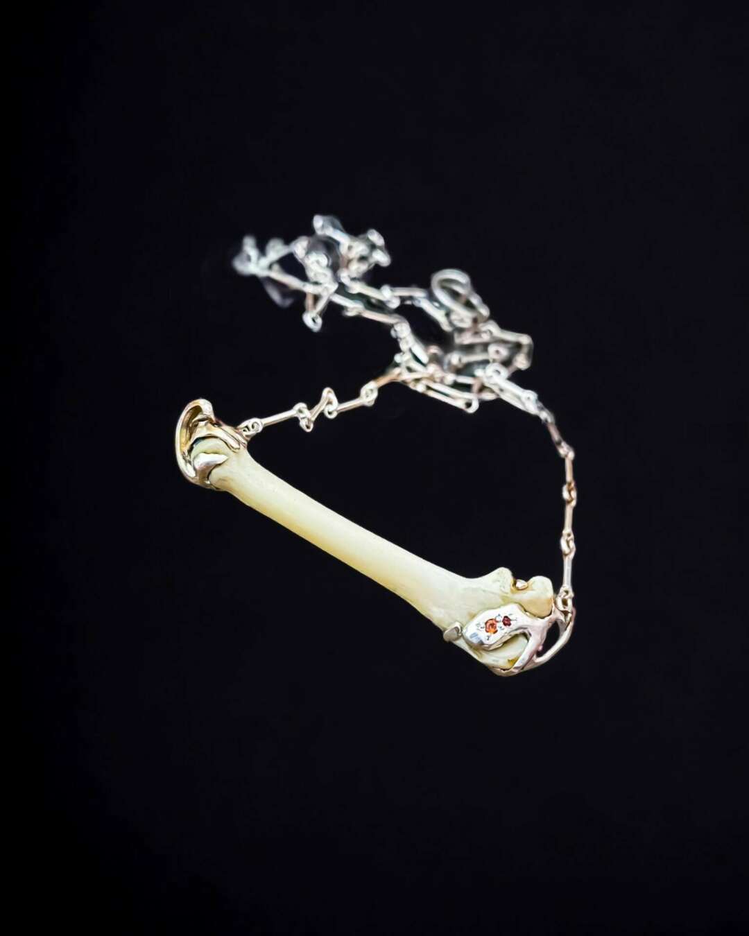 Meet Jaime Foley – CanvasRebel Magazine