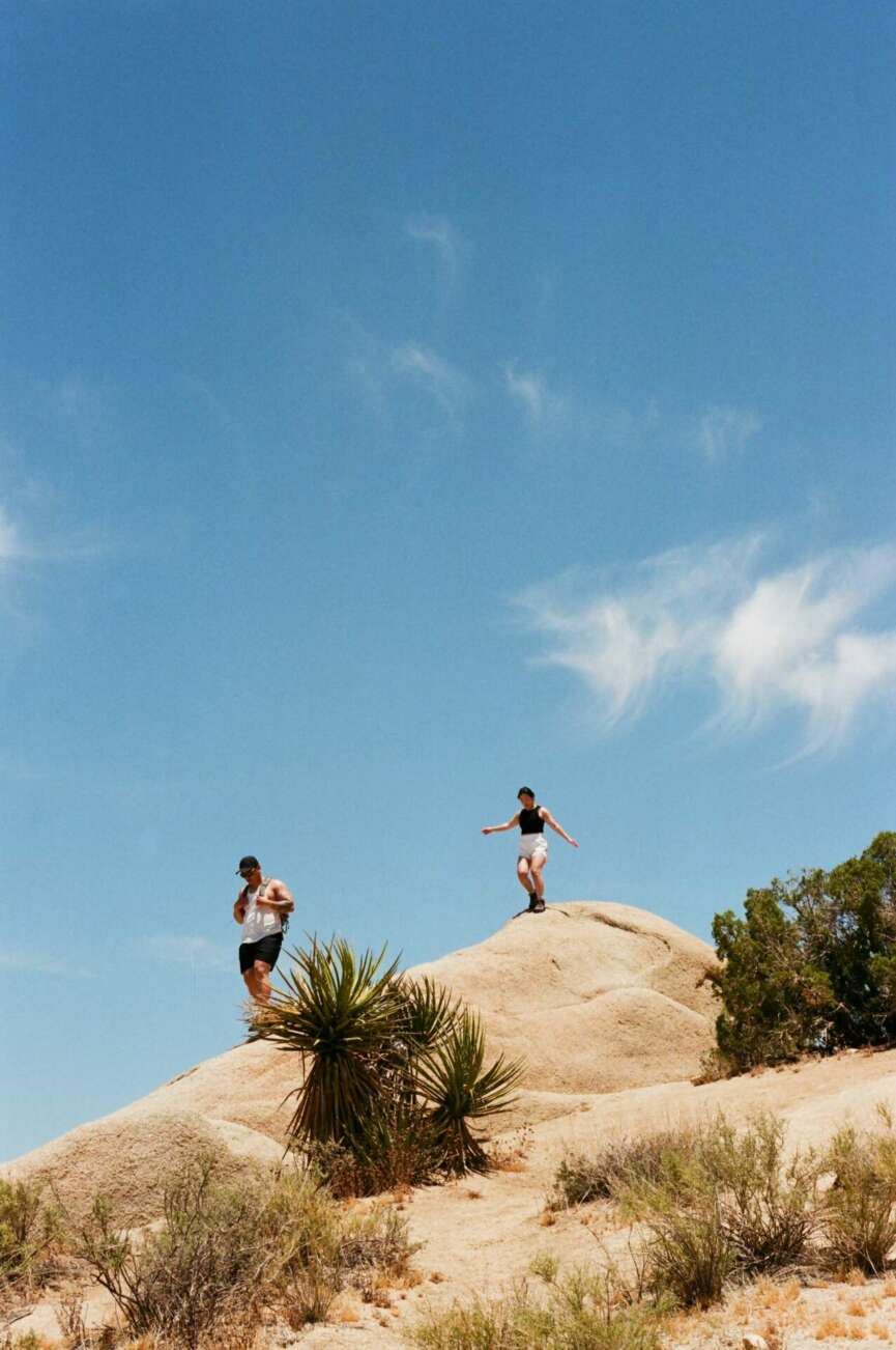 Meet Rose Chang - CanvasRebel Magazine