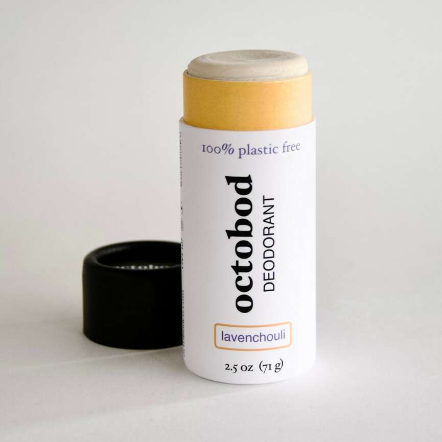 Meet Damon Taylor - CanvasRebel Magazine