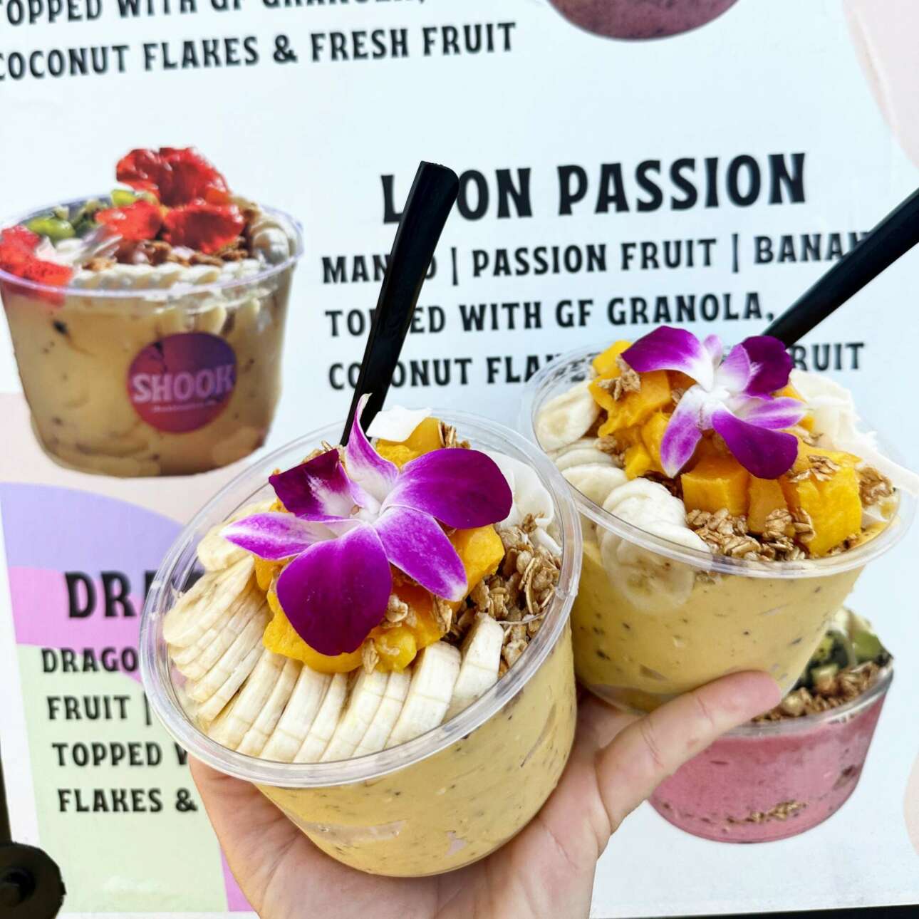 Meet Jordan Plummer – CanvasRebel Magazine