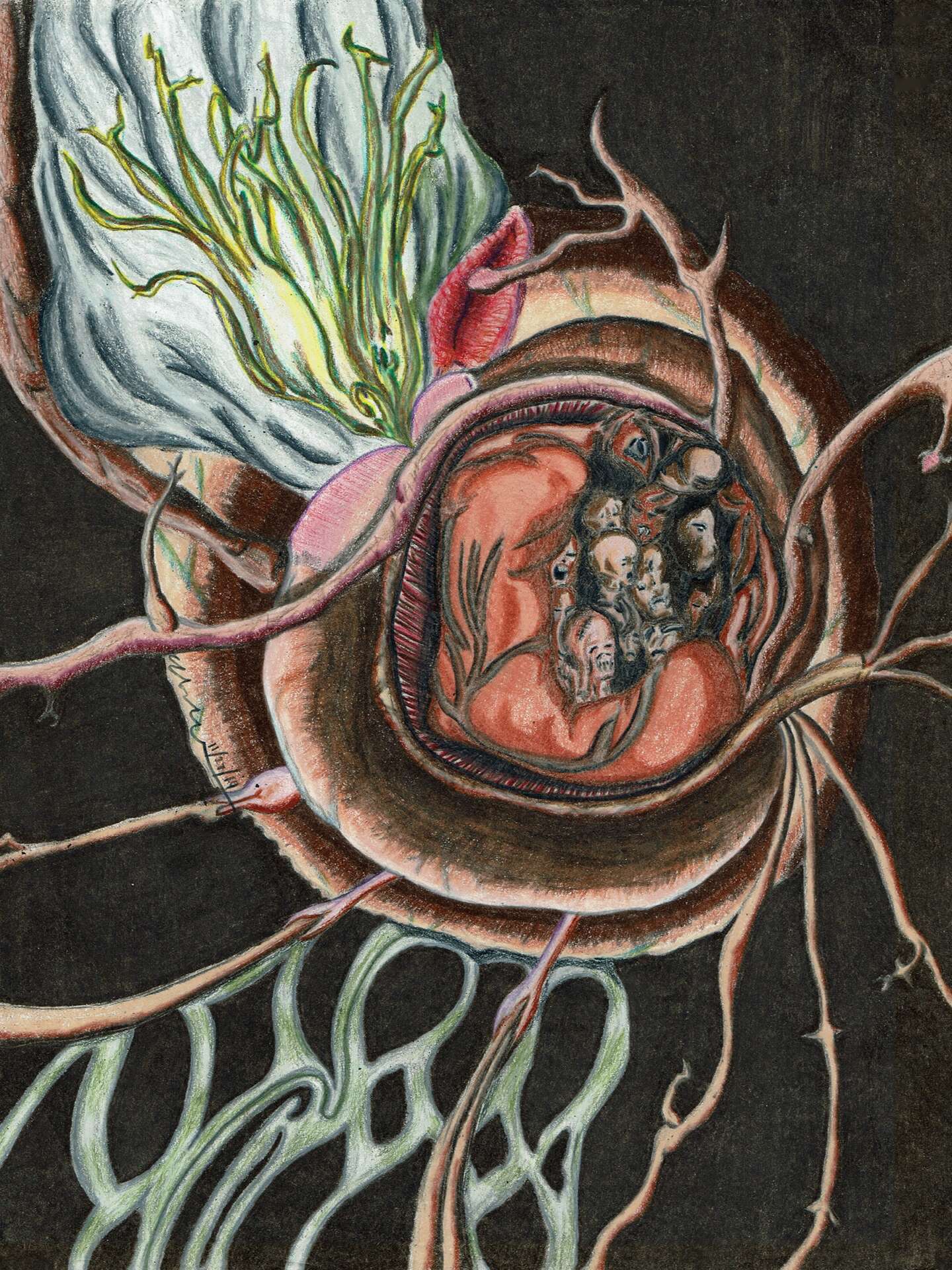 Meet Michael Markham – CanvasRebel Magazine