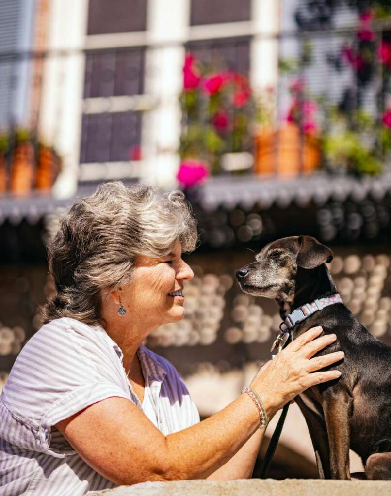 Meet Meredith Whitney – CanvasRebel Magazine