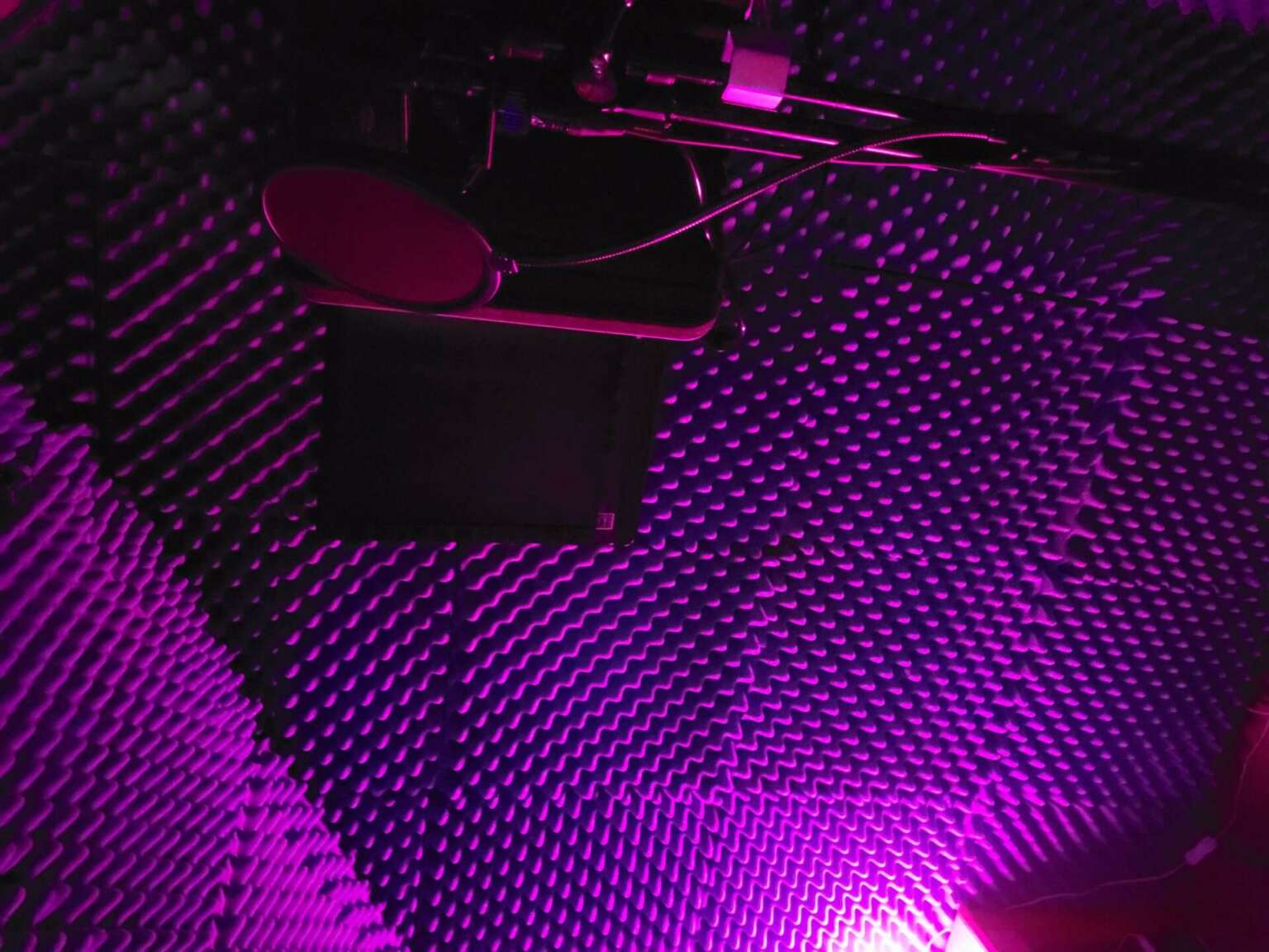 Meet David Reed – CanvasRebel Magazine