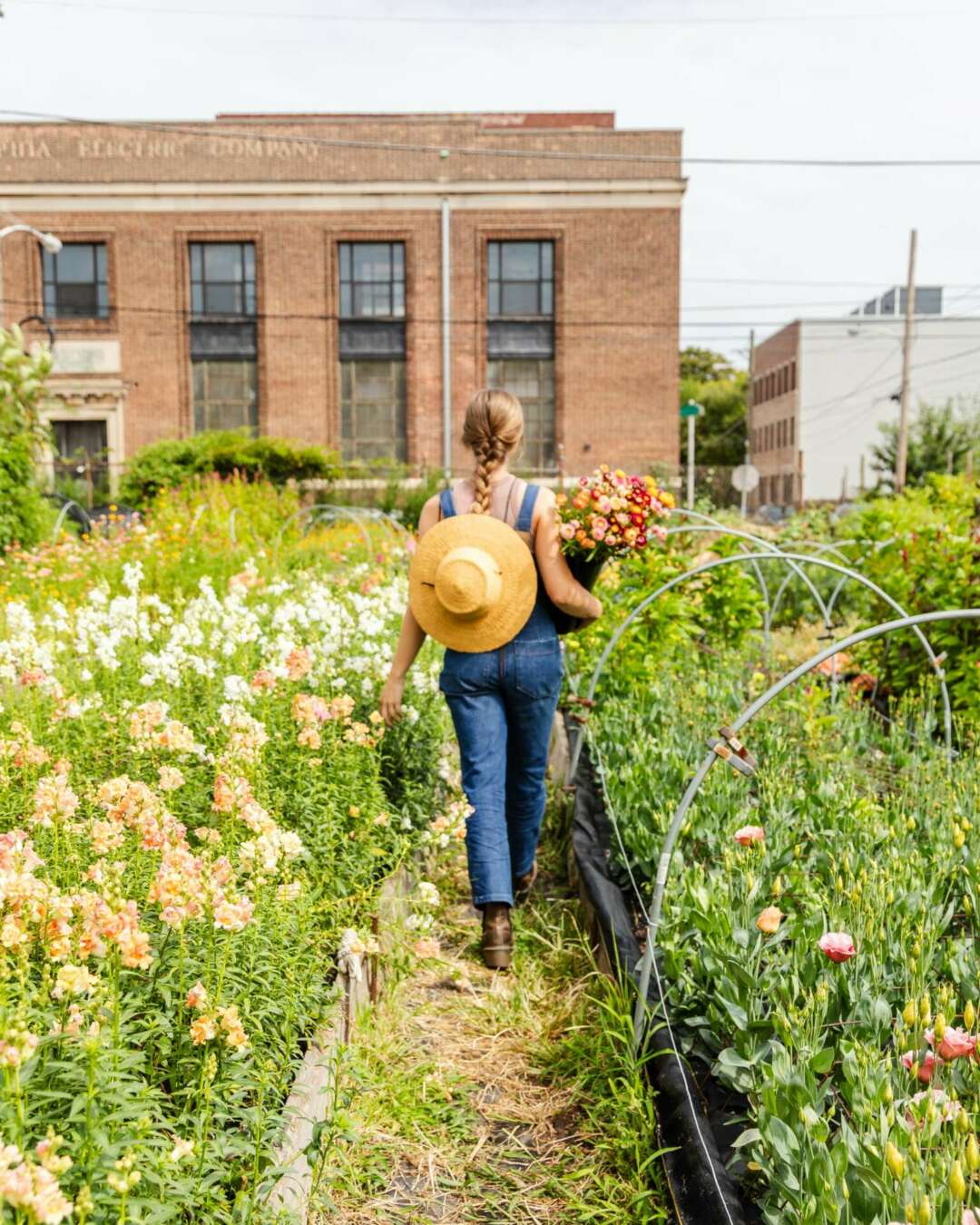 Meet Elise Hanks – CanvasRebel Magazine