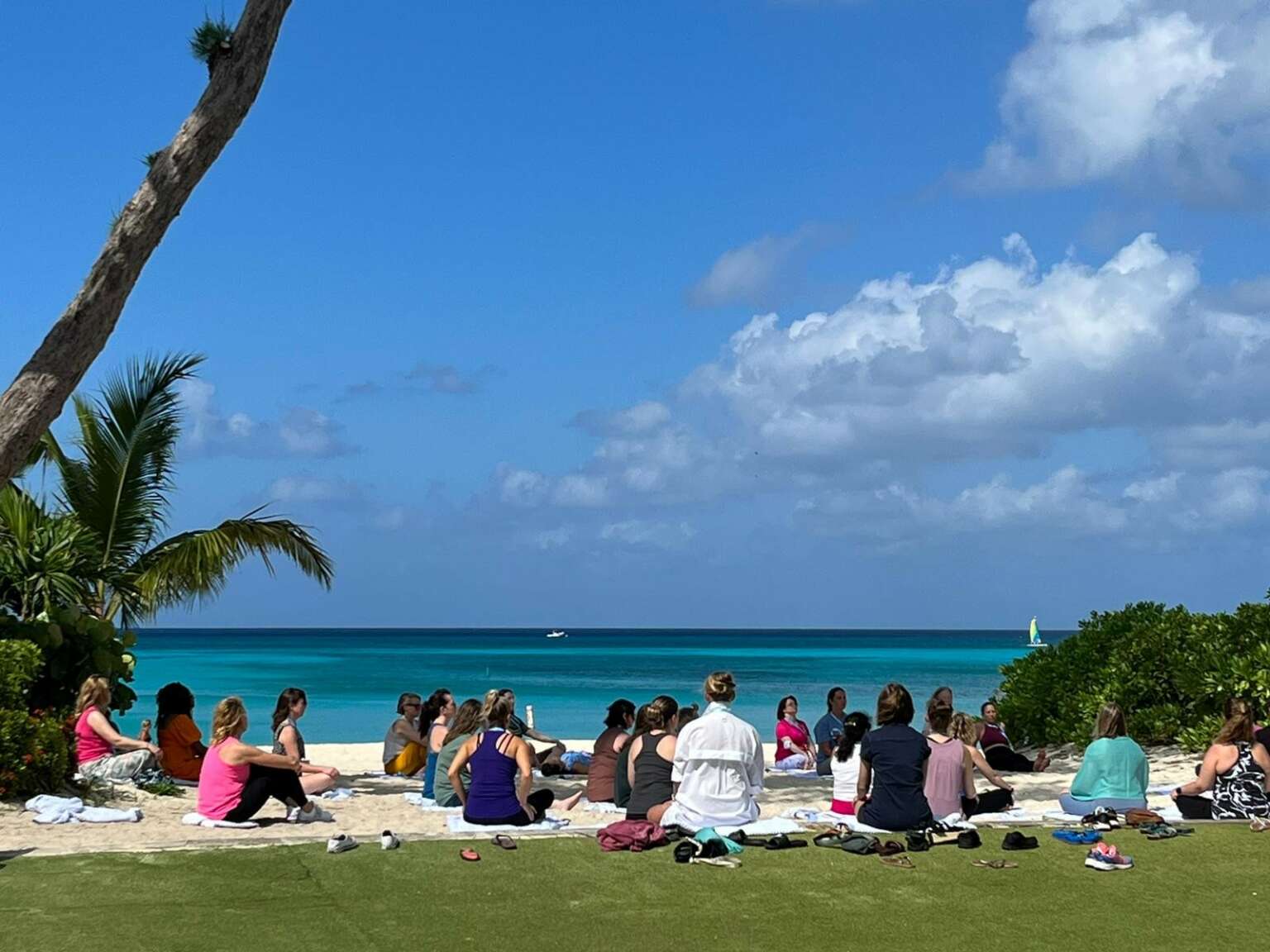 Meet Erica Howe – CanvasRebel Magazine