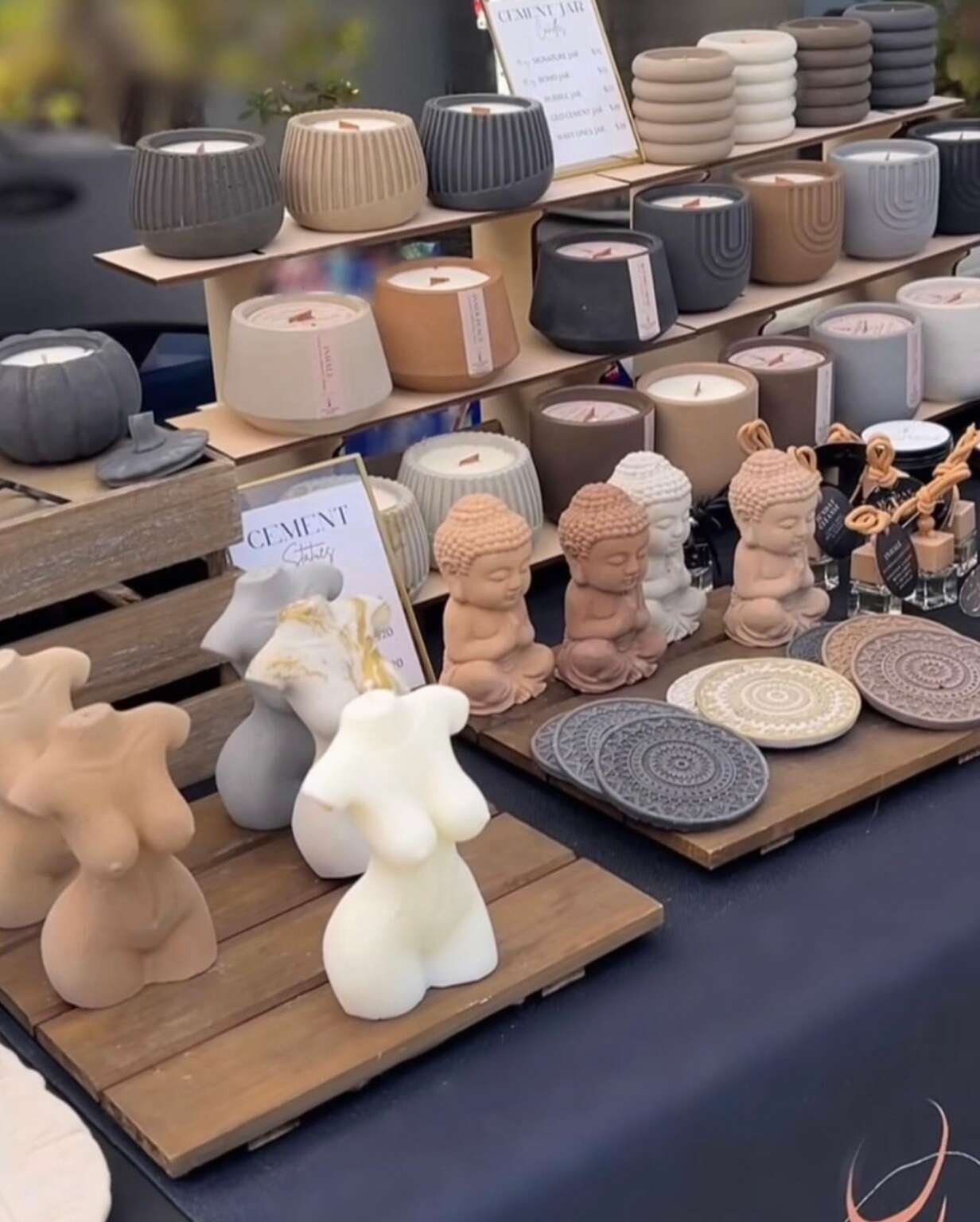 Meet Sarah Tapia – CanvasRebel Magazine