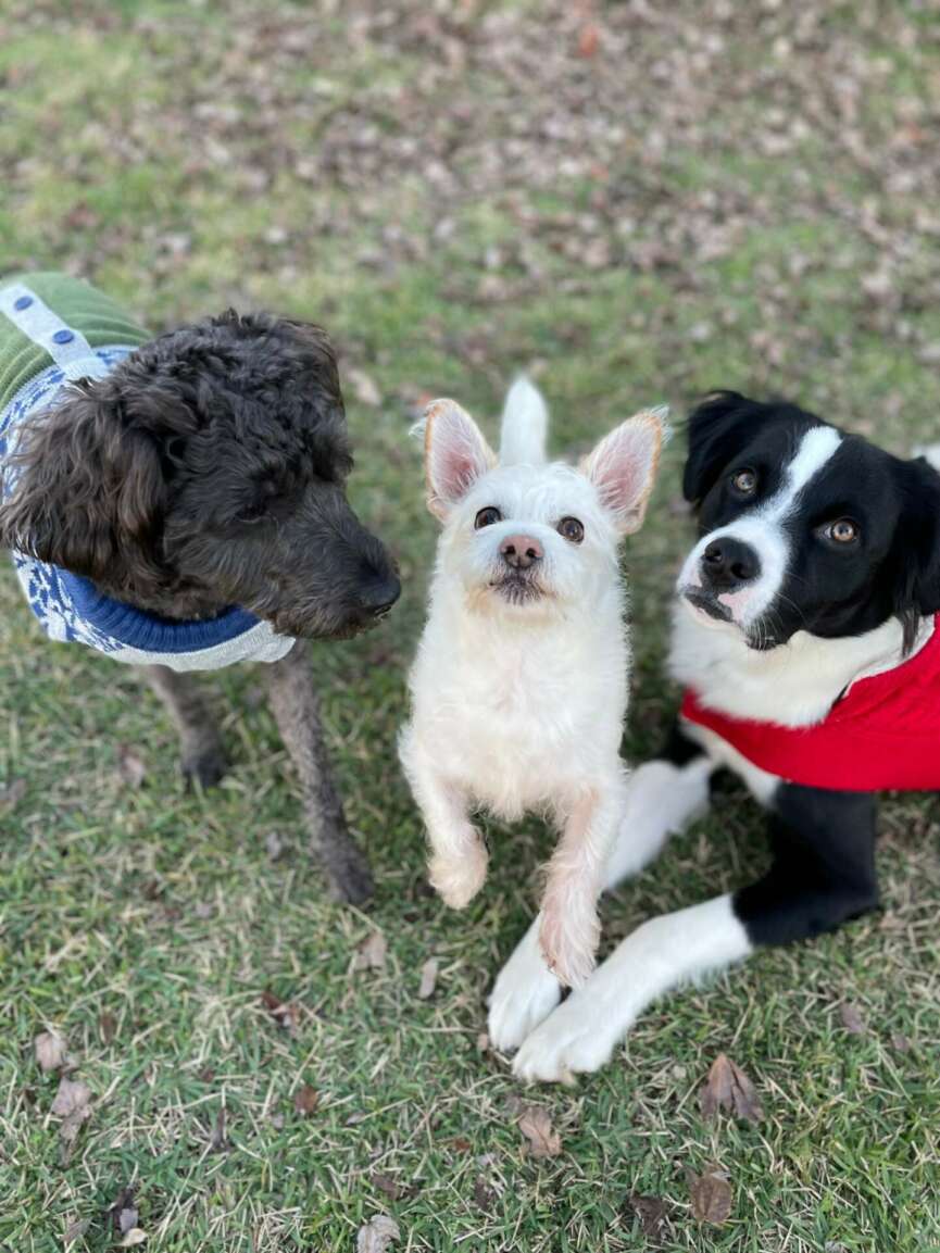 Meet Sofia Goodnight – CanvasRebel Magazine