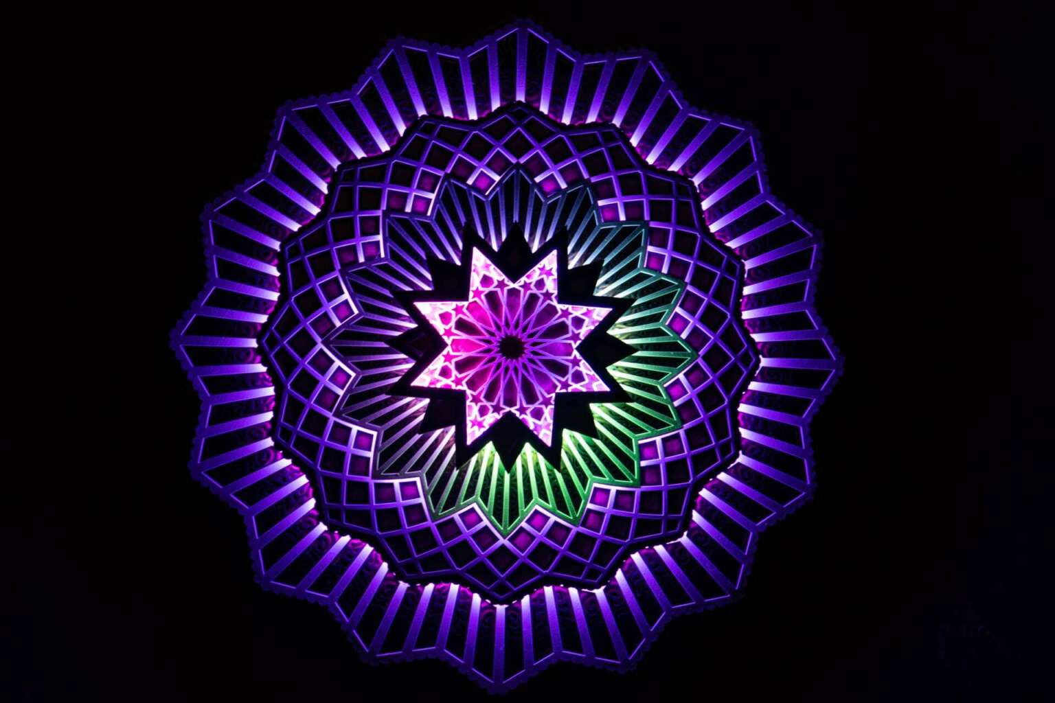 Meet Steven Newman – CanvasRebel Magazine