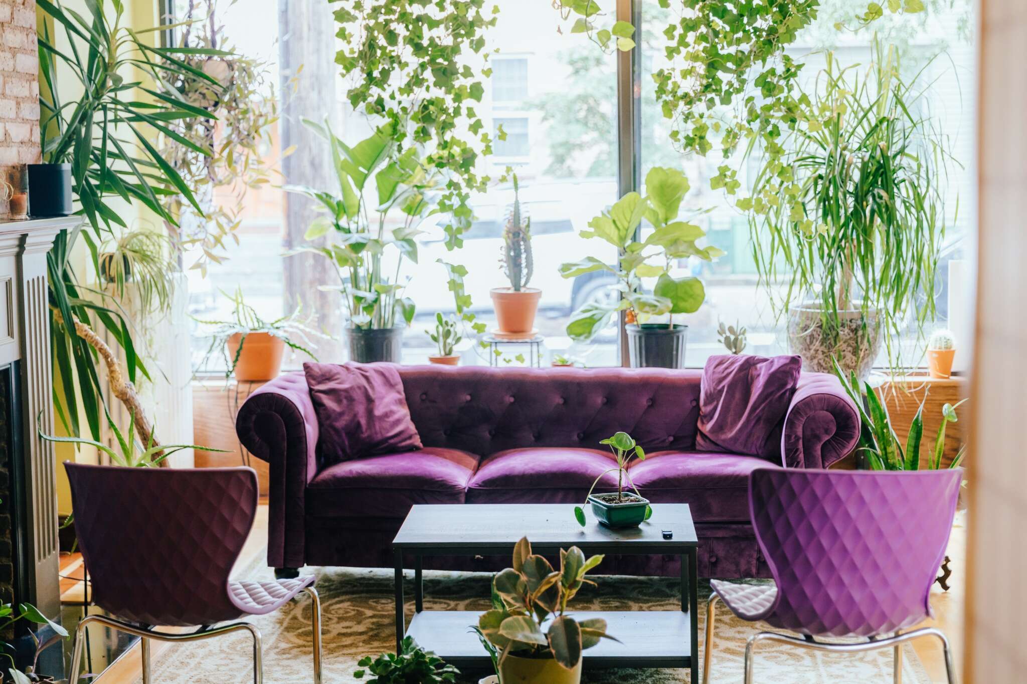 Meet Christopher Peacock – CanvasRebel Magazine