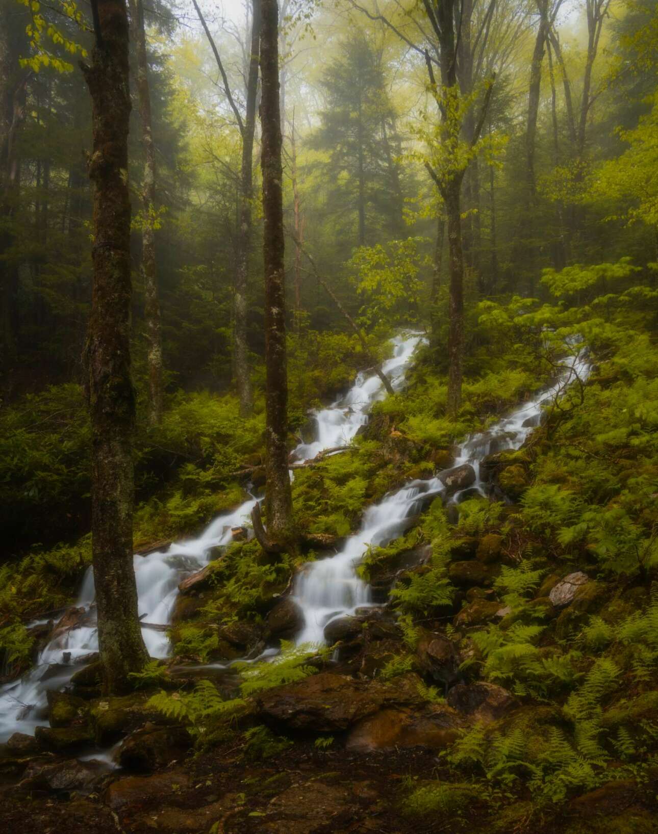 Meet Craig DeForest – CanvasRebel Magazine