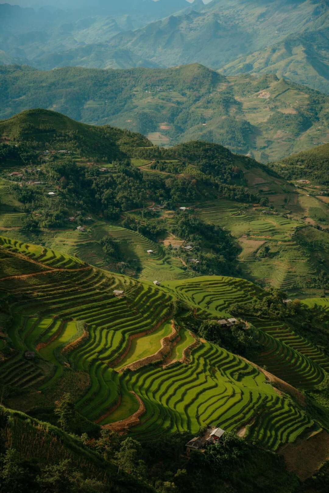 Meet Jeffrey Sun - CanvasRebel Magazine