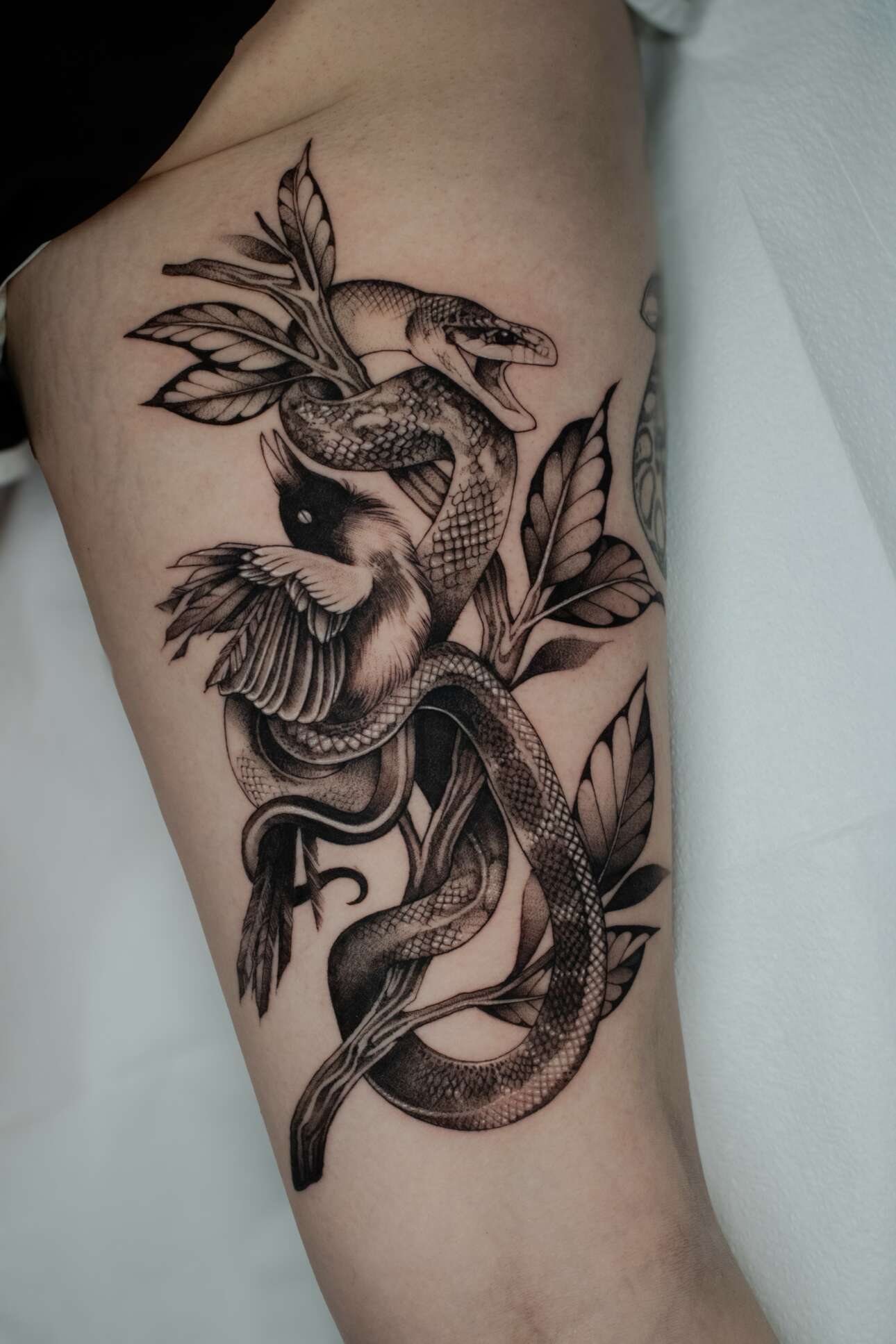 Meet Jordan Cunningham - CanvasRebel Magazine