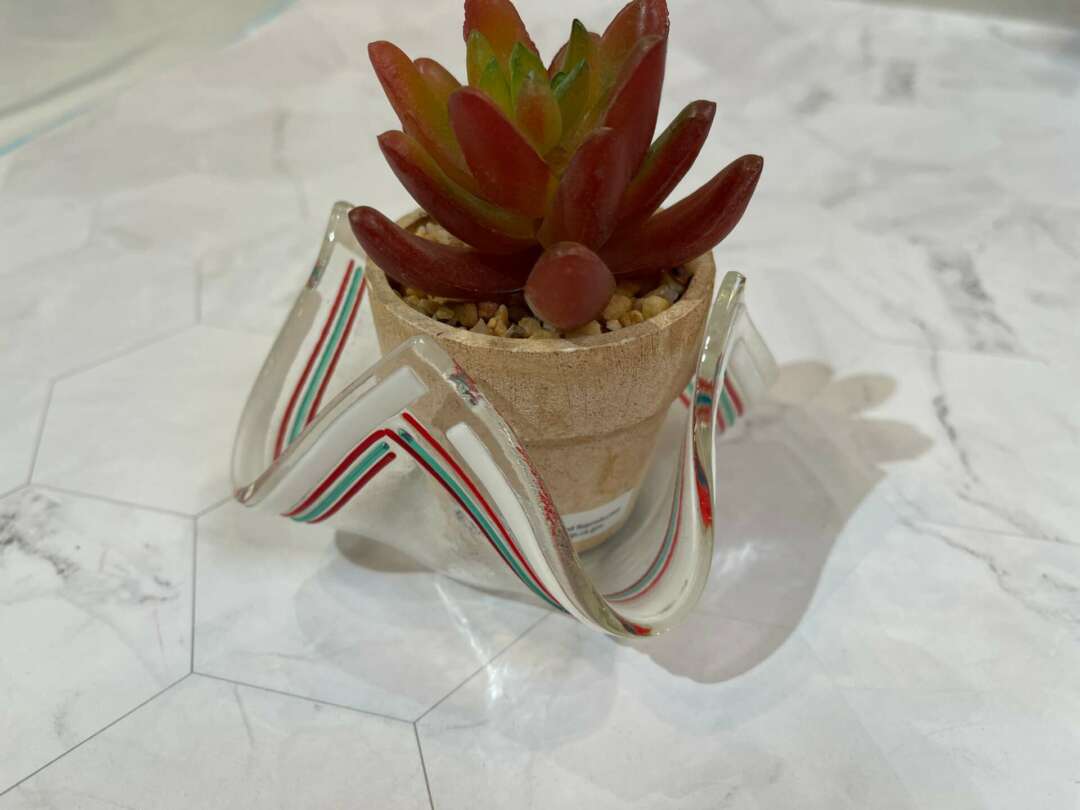 Meet Nancy Marks – CanvasRebel Magazine