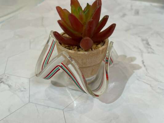 Meet Nancy Marks – CanvasRebel Magazine