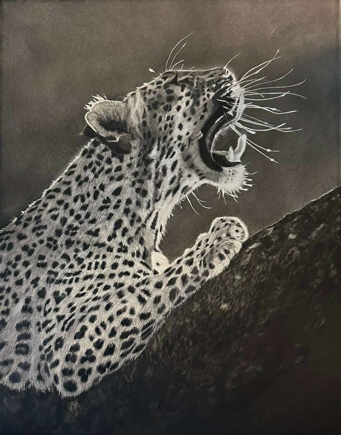 Meet Sally Terrell – CanvasRebel Magazine