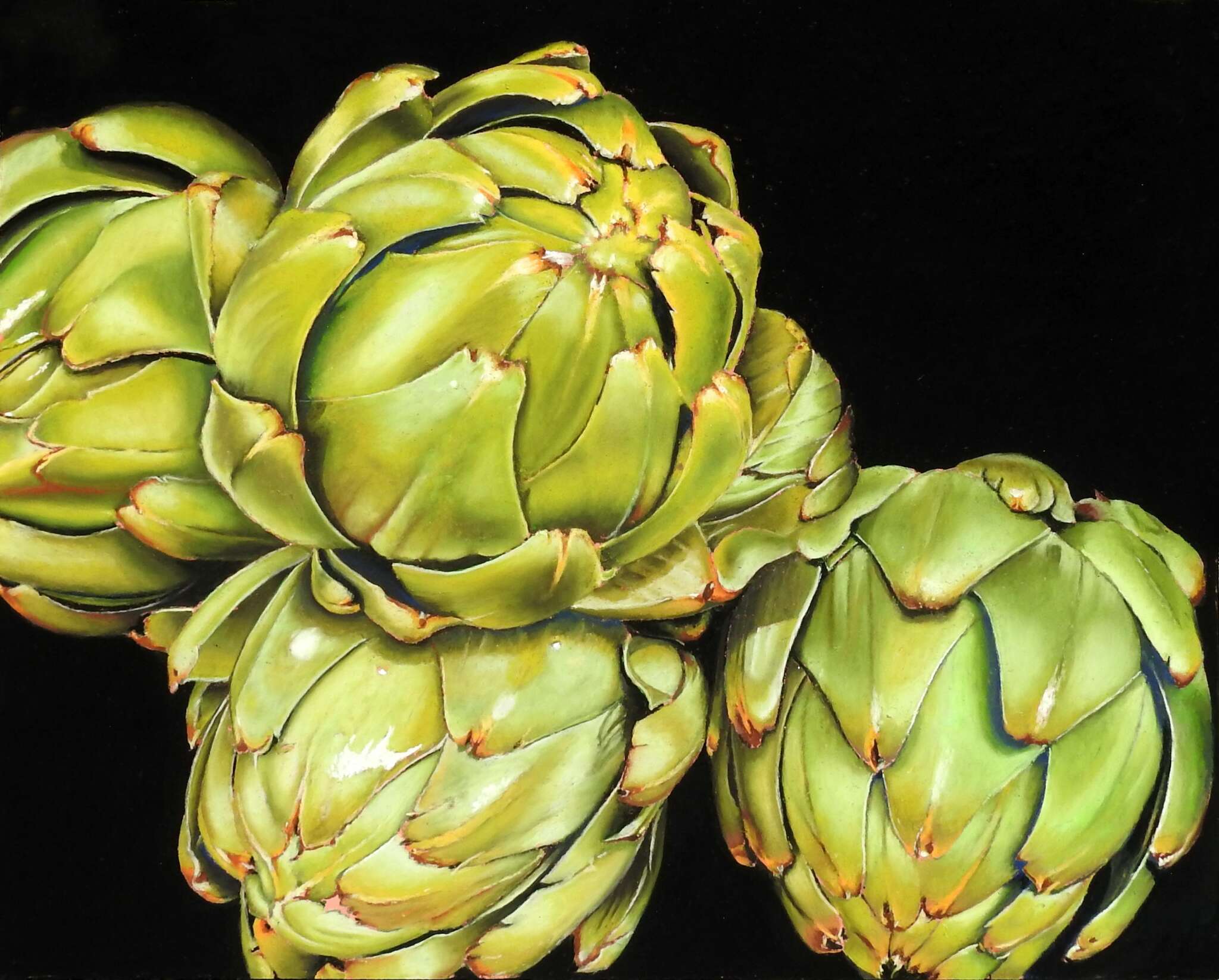 Meet BF Reed – CanvasRebel Magazine