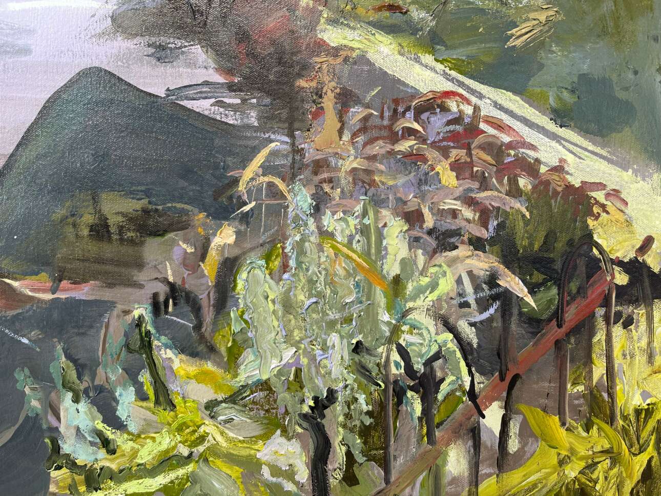 Meet Drie Chapek – CanvasRebel Magazine