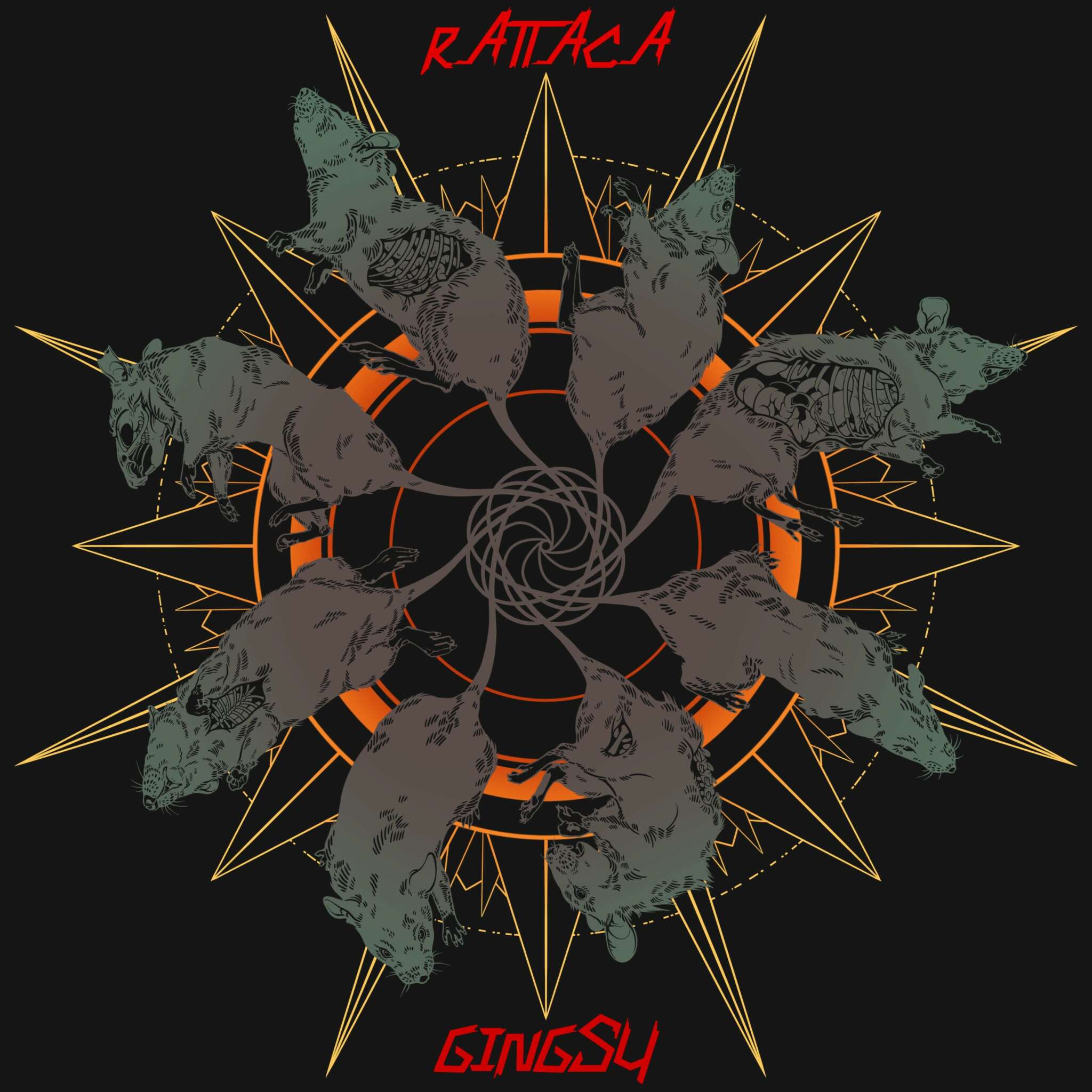 Meet Heather Shields – CanvasRebel Magazine