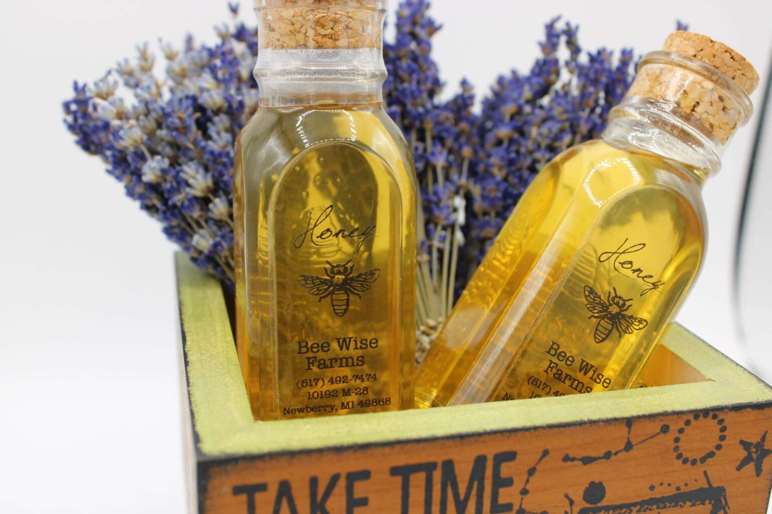 Meet Lacey Ingrao – CanvasRebel Magazine