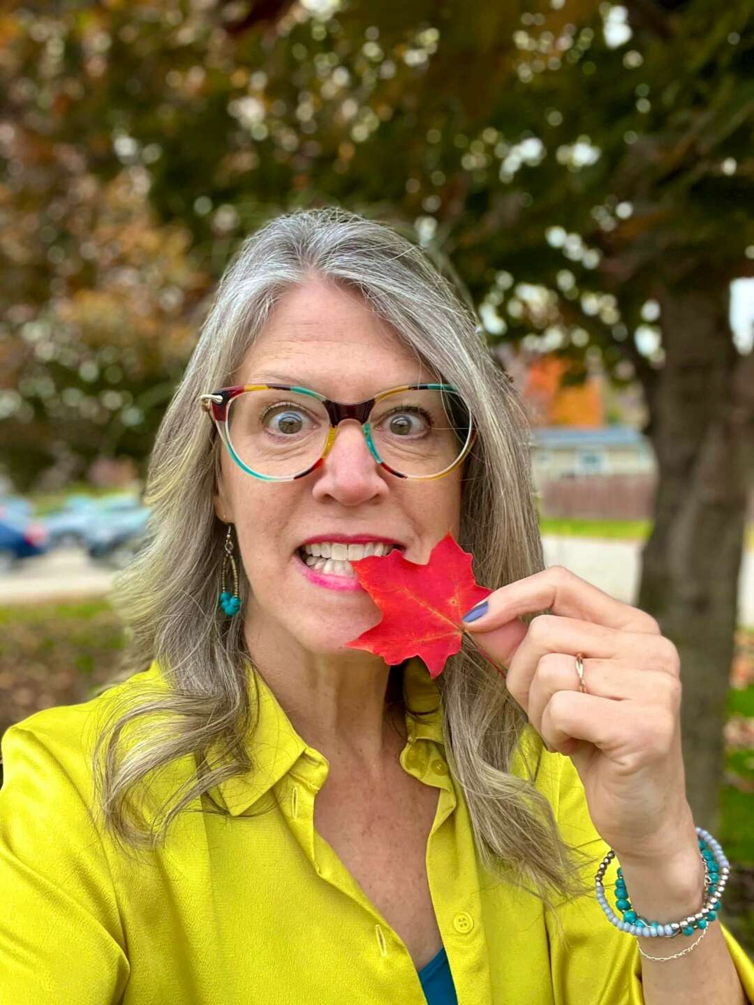 Meet Lisa David Olson – CanvasRebel Magazine