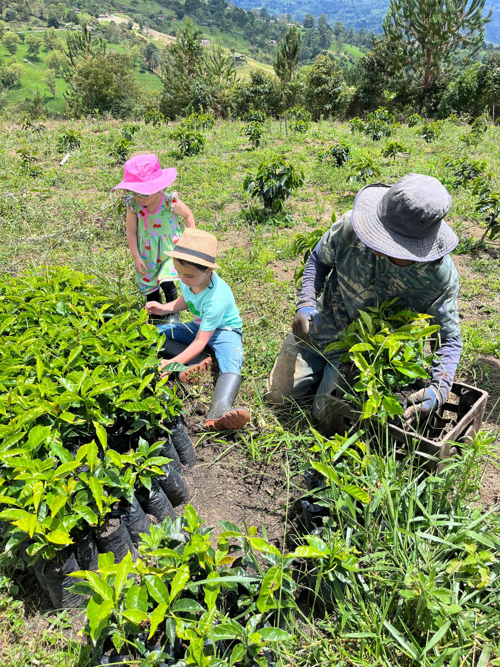 Meet Sebastian Hoyos – CanvasRebel Magazine