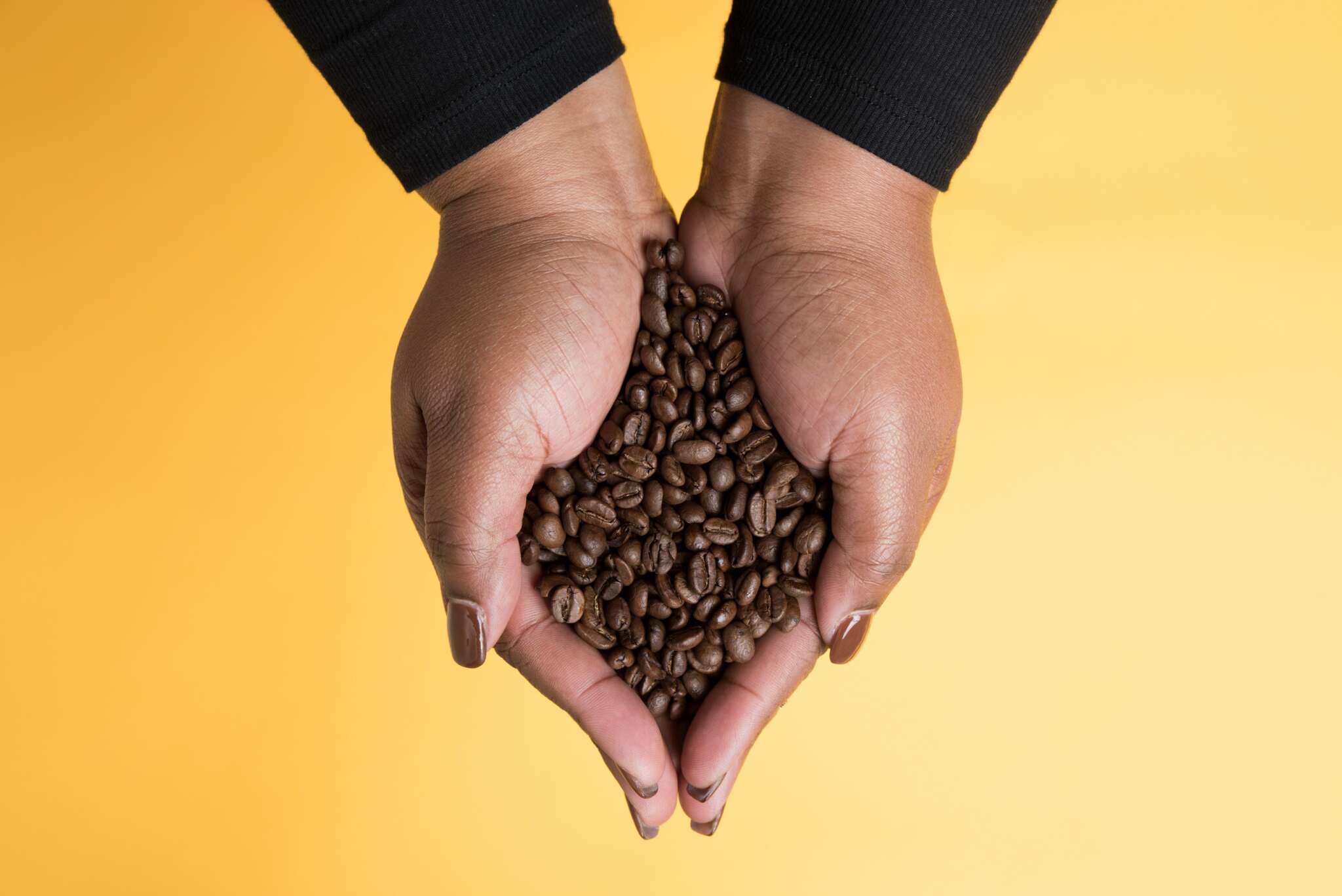 Meet Alicia Officer – CanvasRebel Magazine