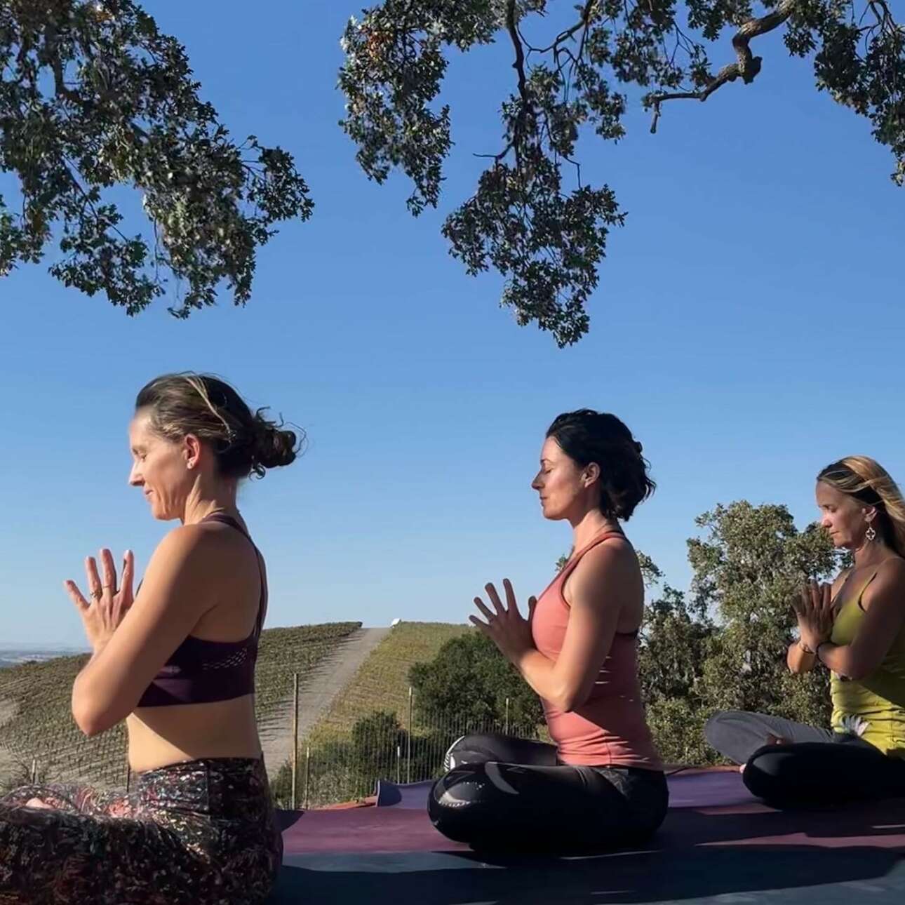 Meet Chiara Shannon – CanvasRebel Magazine